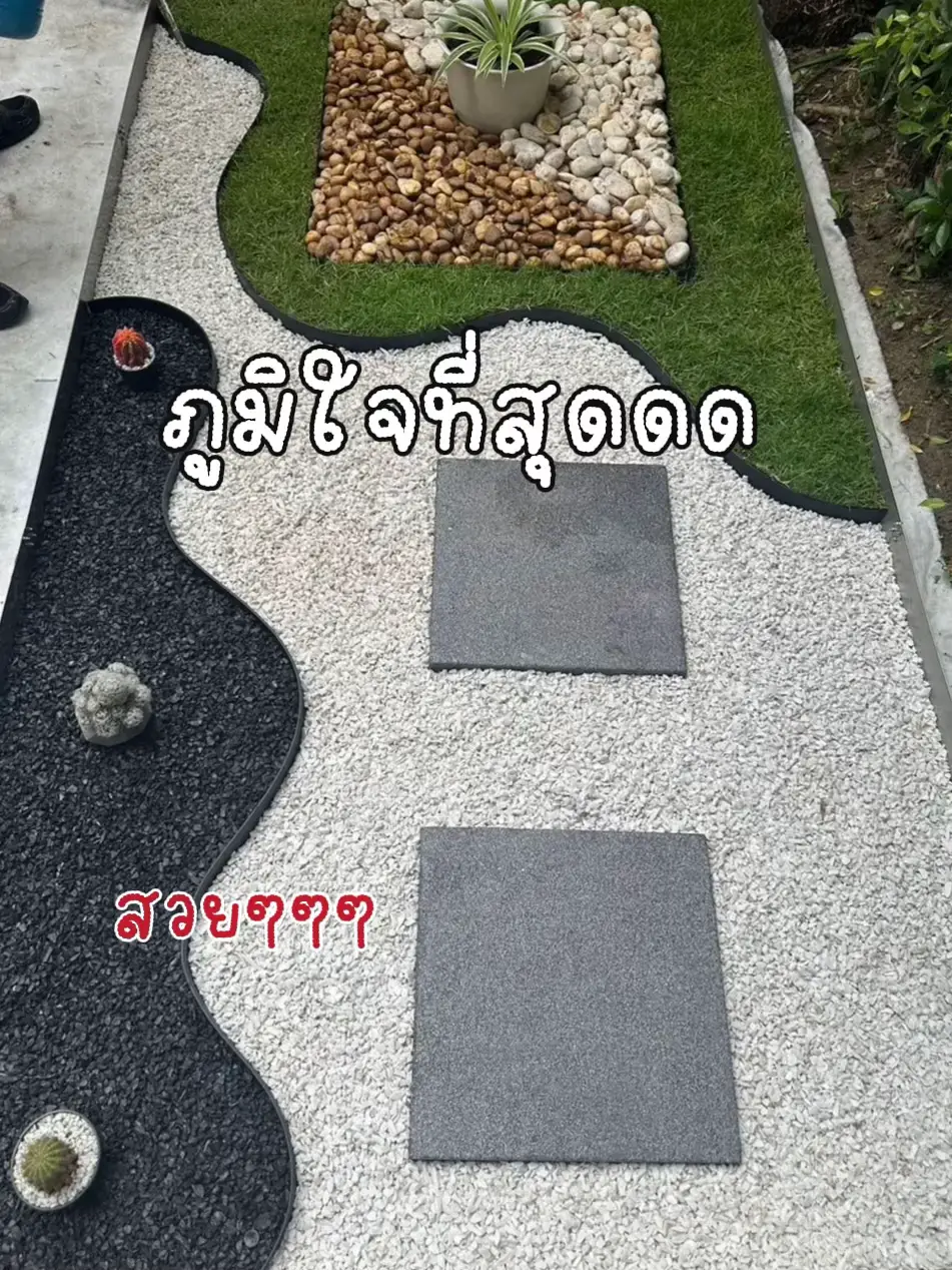 ทำครั้งแรก! รีวิวจัดสวนเล็กๆของตัวเอง🪴🫶🏻 | แกลเลอรีที่โพสต์โดย Tontarn.pp | Lemon8