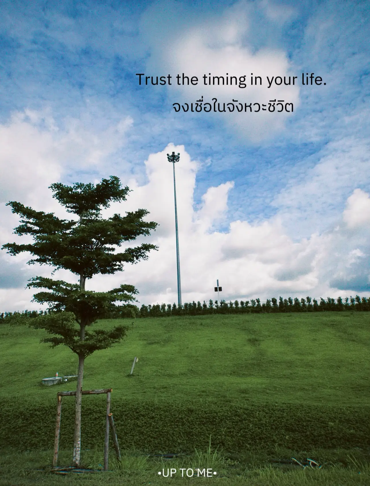 Trust the timing in your life. จงเชื่อในจังหวะชีวิต🌲🍃🌤️ | แกลเลอรีที่ ...