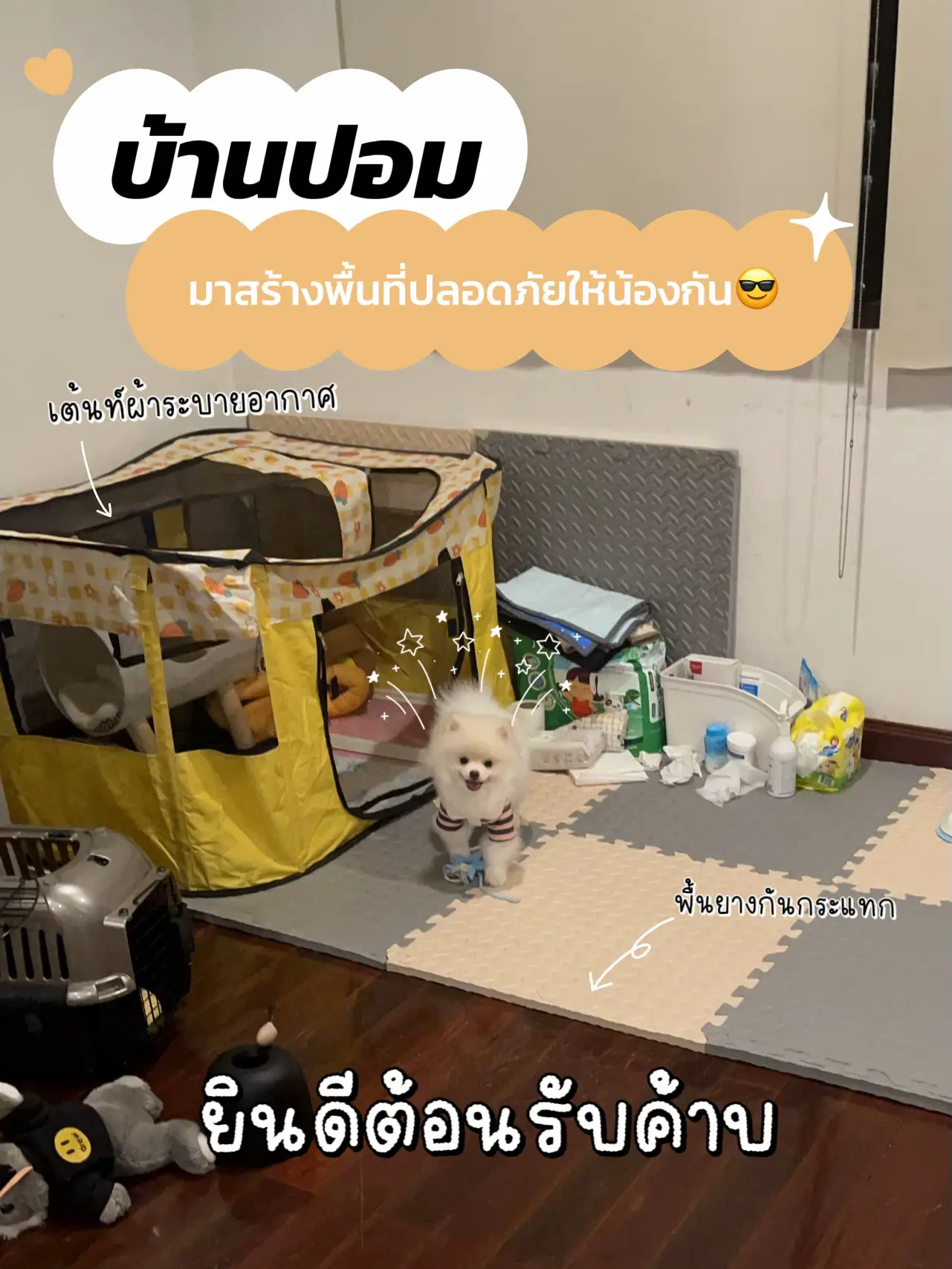 บ้านปอม เมื่อต้องอยู่คนเดียว | แกลเลอรีที่โพสต์โดย Moobin Cuddle | Lemon8