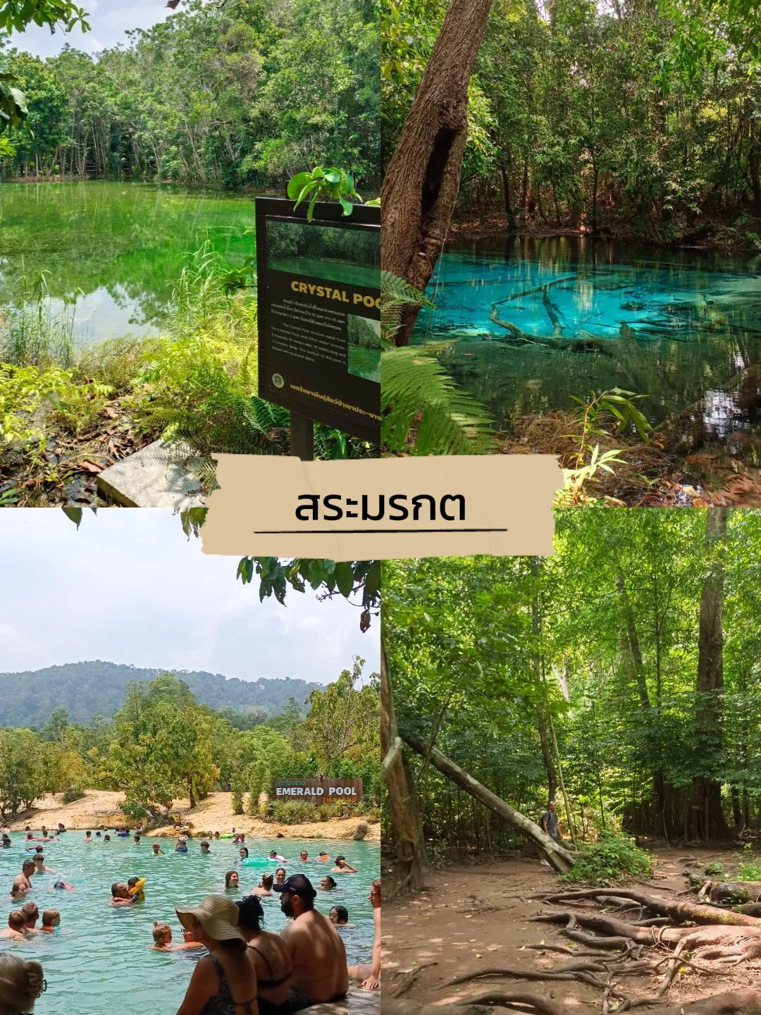 เที่ยวกระบี่ โดยที่ไม่ไปทะเล!! | แกลเลอรีที่โพสต์โดย Angvimj | Lemon8