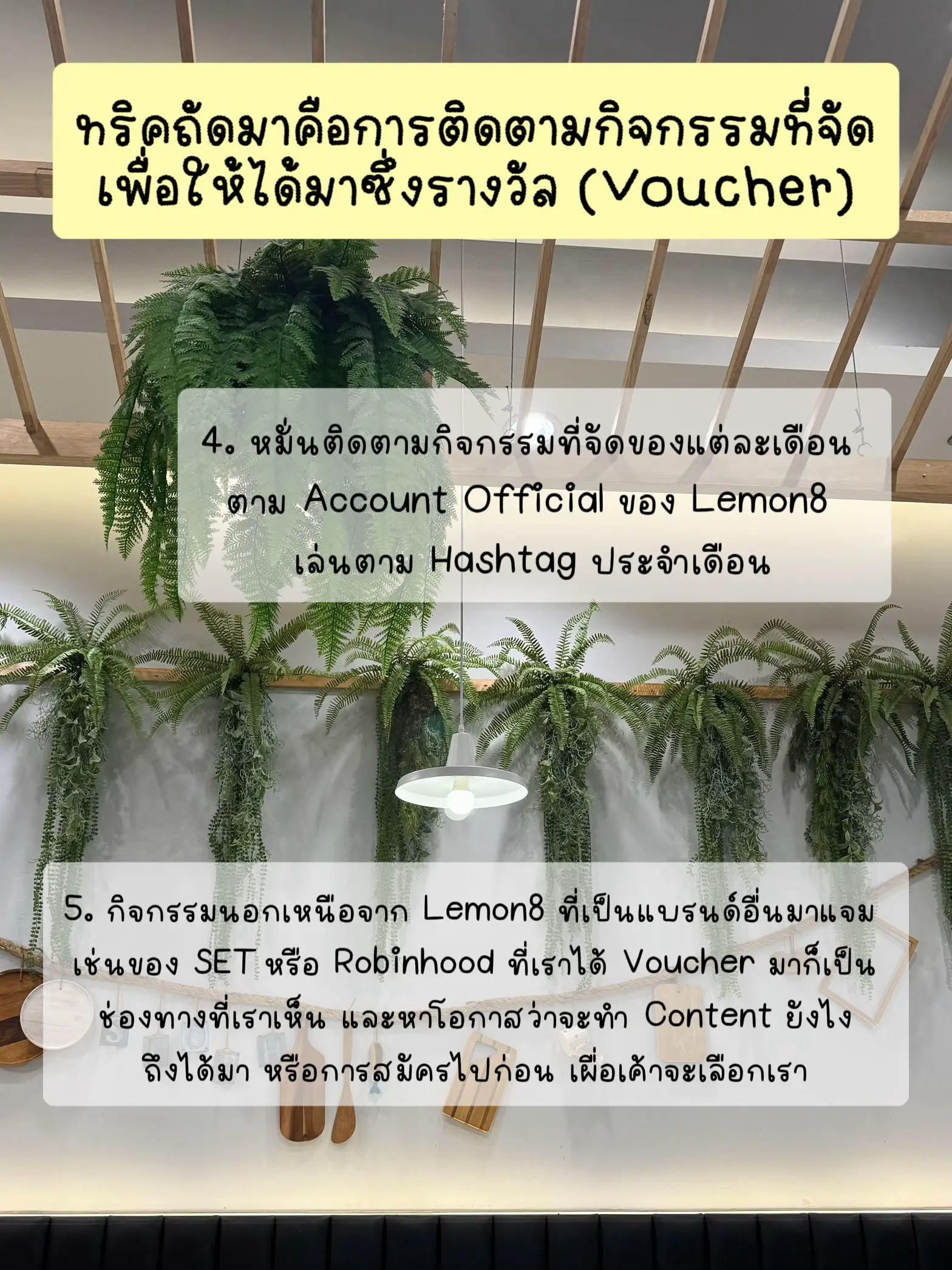 🏷️ แจกทริค เล่น Lemon8 🍋 ยังไง ให้ได้ Voucher 🤑 | แกลเลอรีที่โพสต์โดย ...