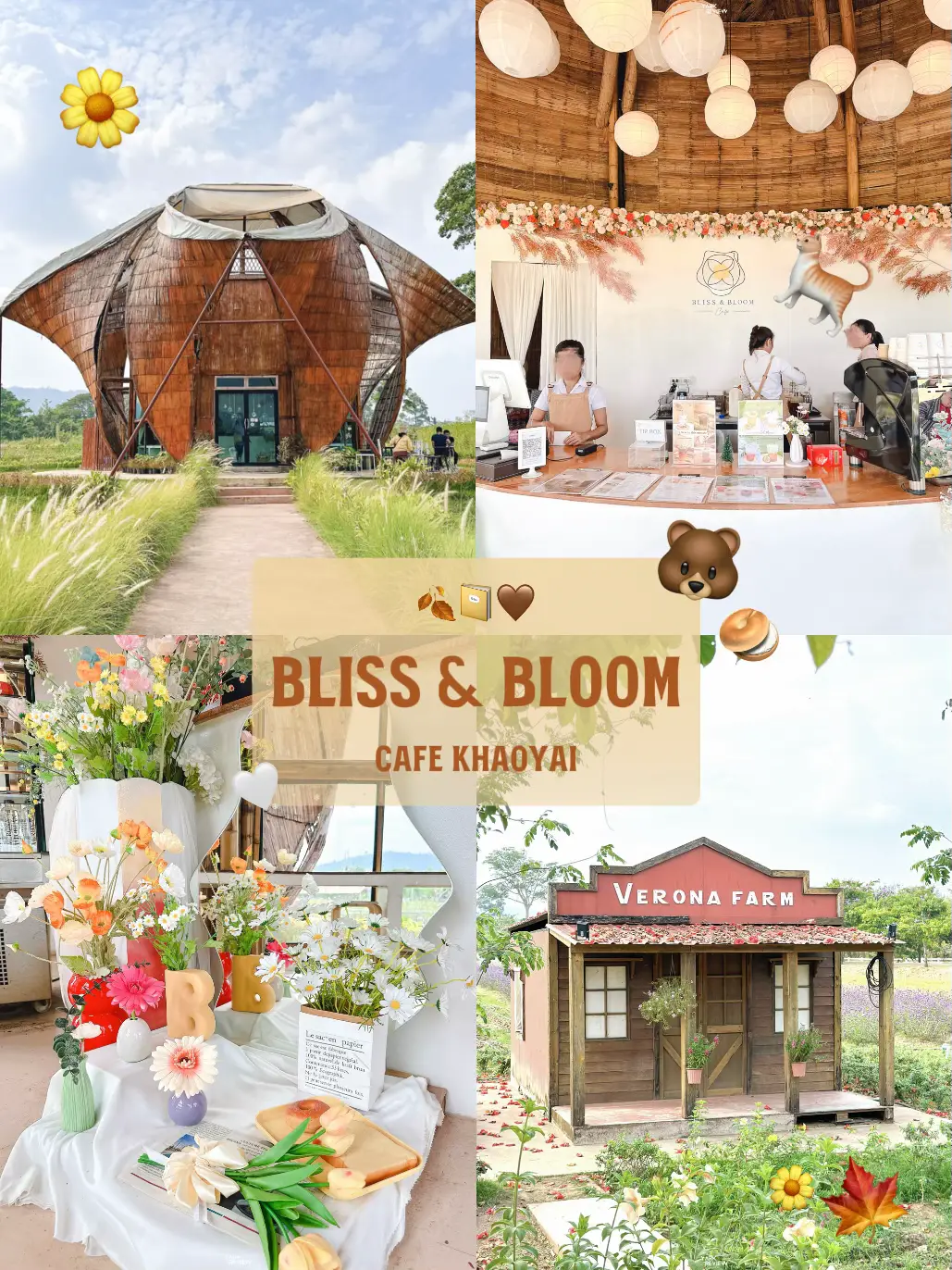 🌼🧺 𝐁𝐥𝐢𝐬𝐬 & 𝐁𝐥𝐨𝐨𝐦 𝐂𝐚𝐟𝐞 🧺🌼 #ปราจีนบุรี | แกลเลอรีที่โพสต์โดย อยากรีวิว ...