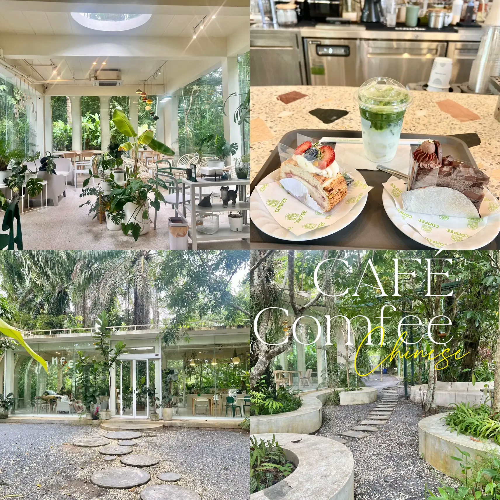 CAFÉ Comfee | แกลเลอรีที่โพสต์โดย Salamoh_suchada | Lemon8