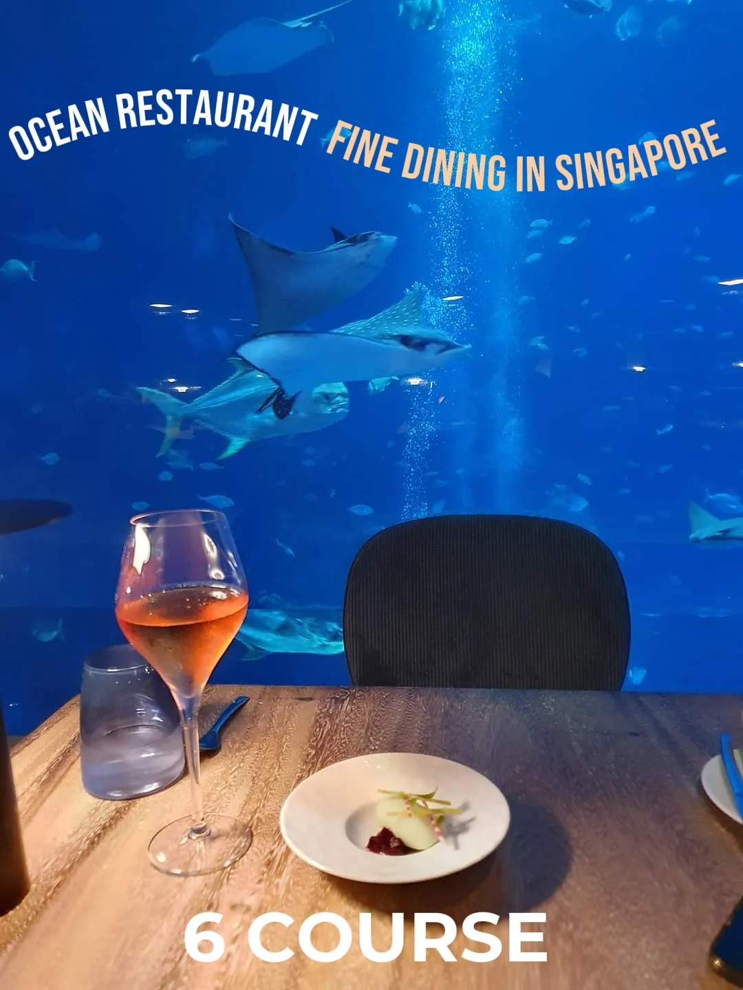 OCEAN RESTAURANT | แกลเลอรีที่โพสต์โดย KungLavimotophy | Lemon8