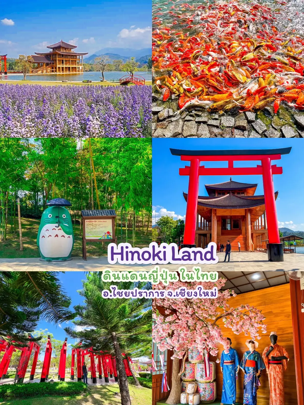 Hinoki Land ( ฮิโนกิแลนด์)เชียงใหม่ | แกลเลอรีที่โพสต์โดย มาดามนุชพา ...