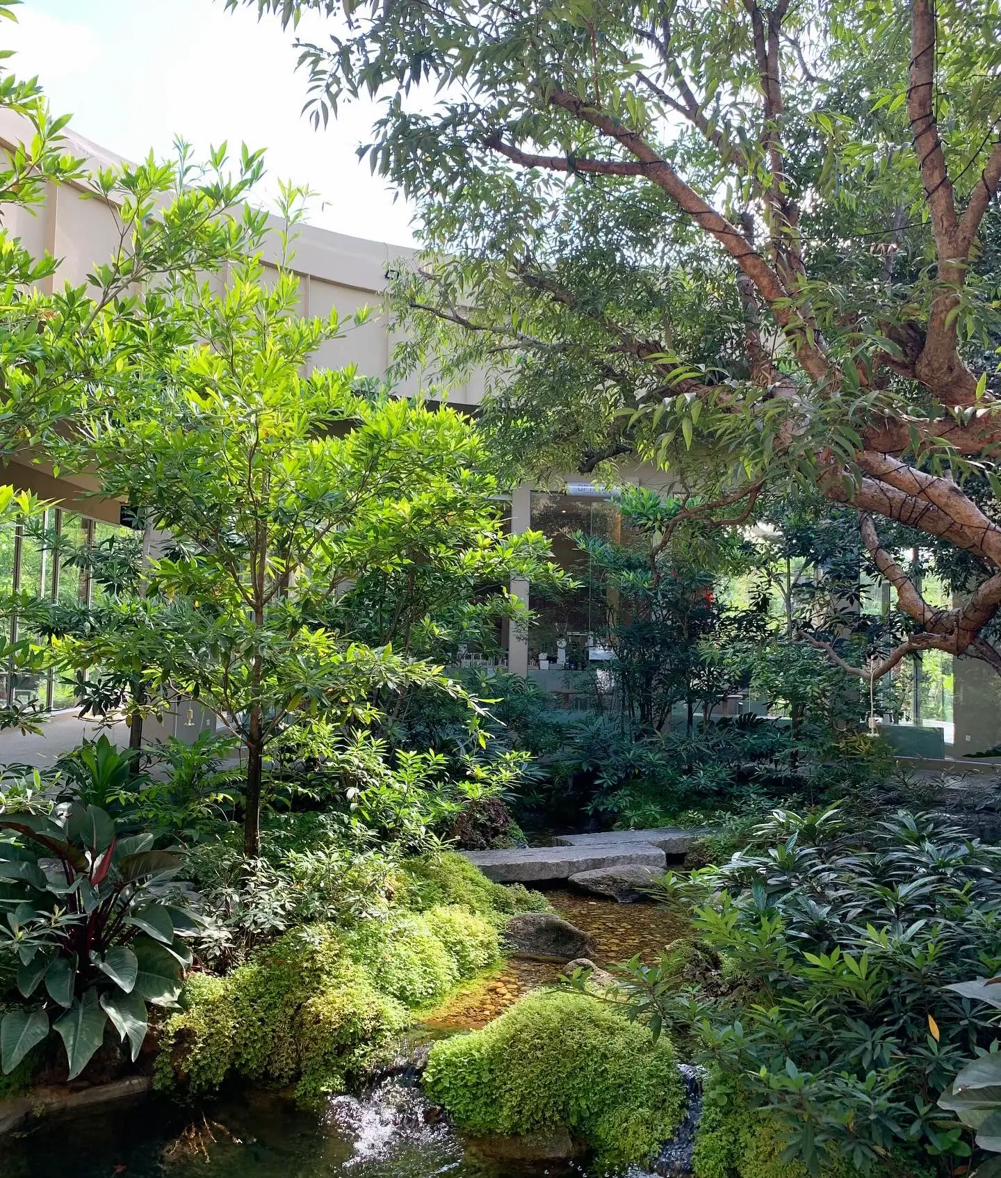 OYARD : คาเฟ่ต้นไม้ฮีลใจ @พุทธมณฑลสาย 1 | แกลเลอรีที่โพสต์โดย Introvert Story | Lemon8