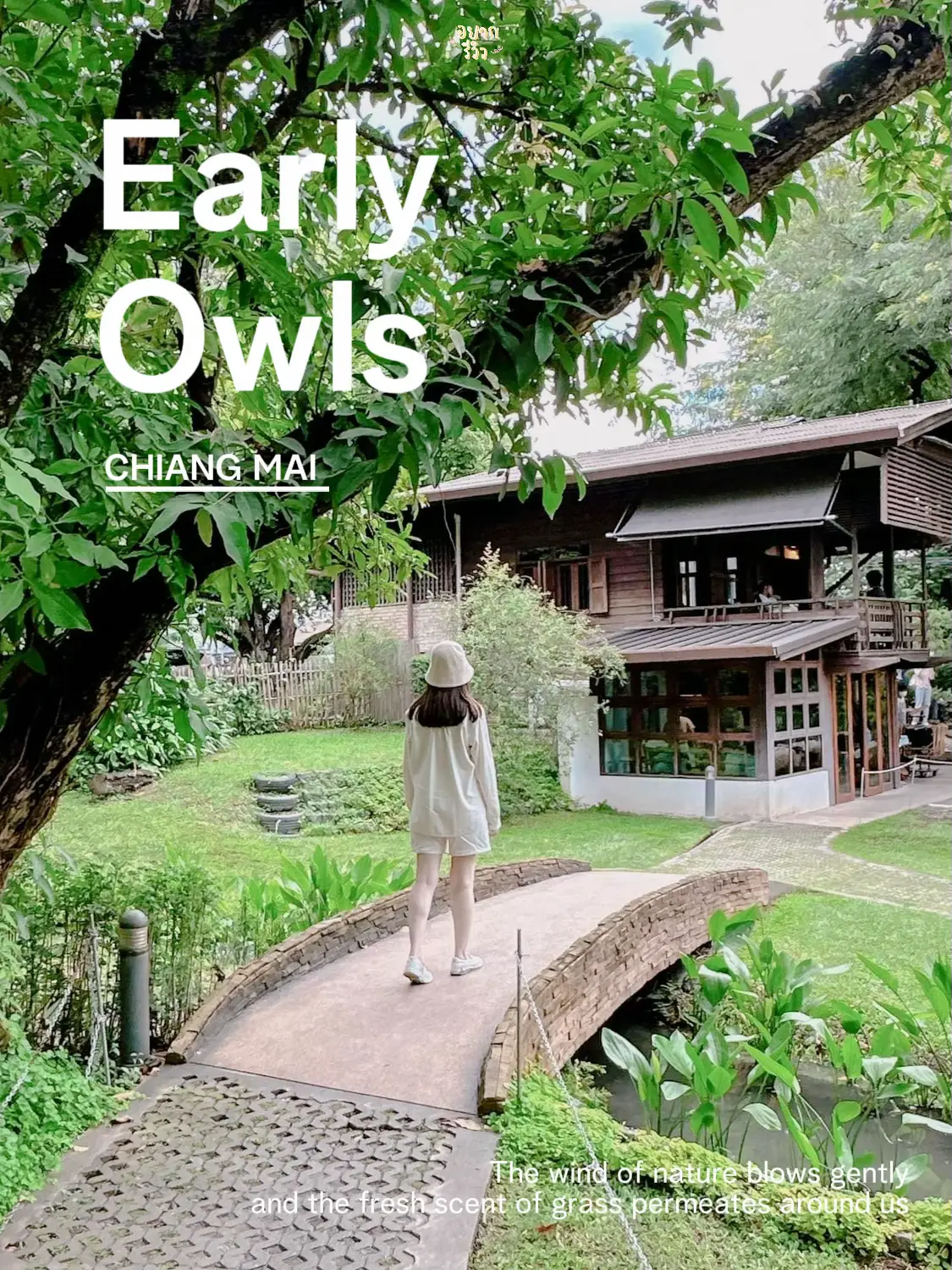 🌳🍂 𝐄𝐚𝐫𝐥𝐲 𝐎𝐰𝐥𝐬 ☕️🌳 #นิมมาน #เชียงใหม่ | แกลเลอรีที่โพสต์โดย อยากรีวิว | Lemon8