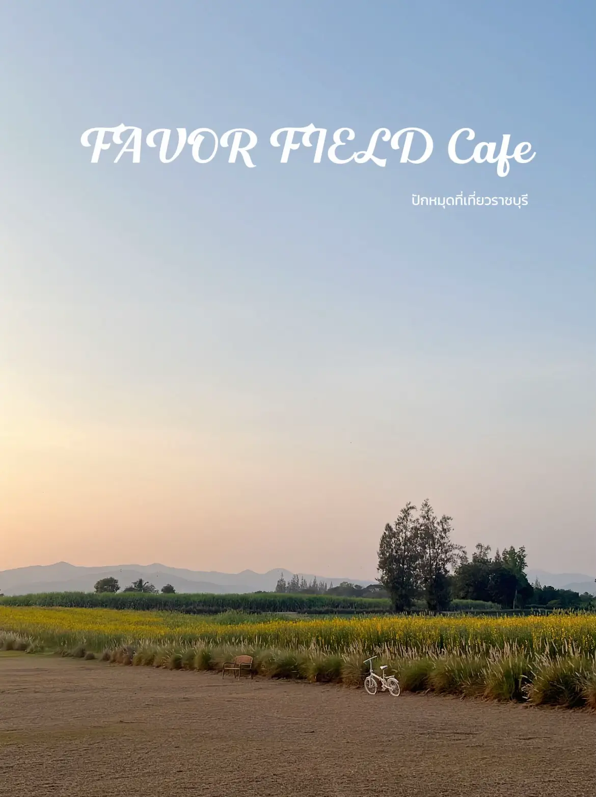 ปักหมุดที่เที่ยวราชบุรี - Favor Field Cafe | แกลเลอรีที่โพสต์โดย Tar Prakasit | Lemon8