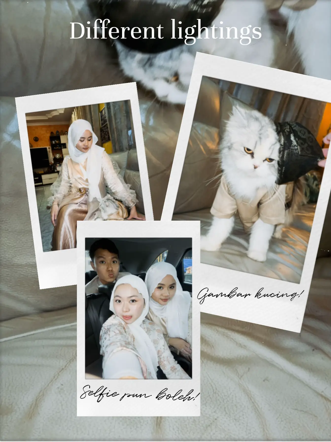 Aesthetic Polaroid Filter for Your Raya Pics! 📸🤍 | แกลเลอรีที่โพสต์โดย ...