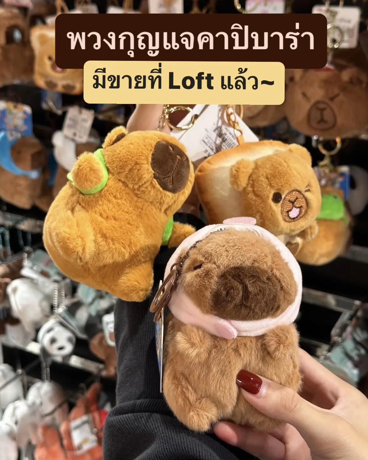 รวมพวงกุญแจคาปิบาร่า ที่ Loft | แกลเลอรีที่โพสต์โดย punpromotion | Lemon8