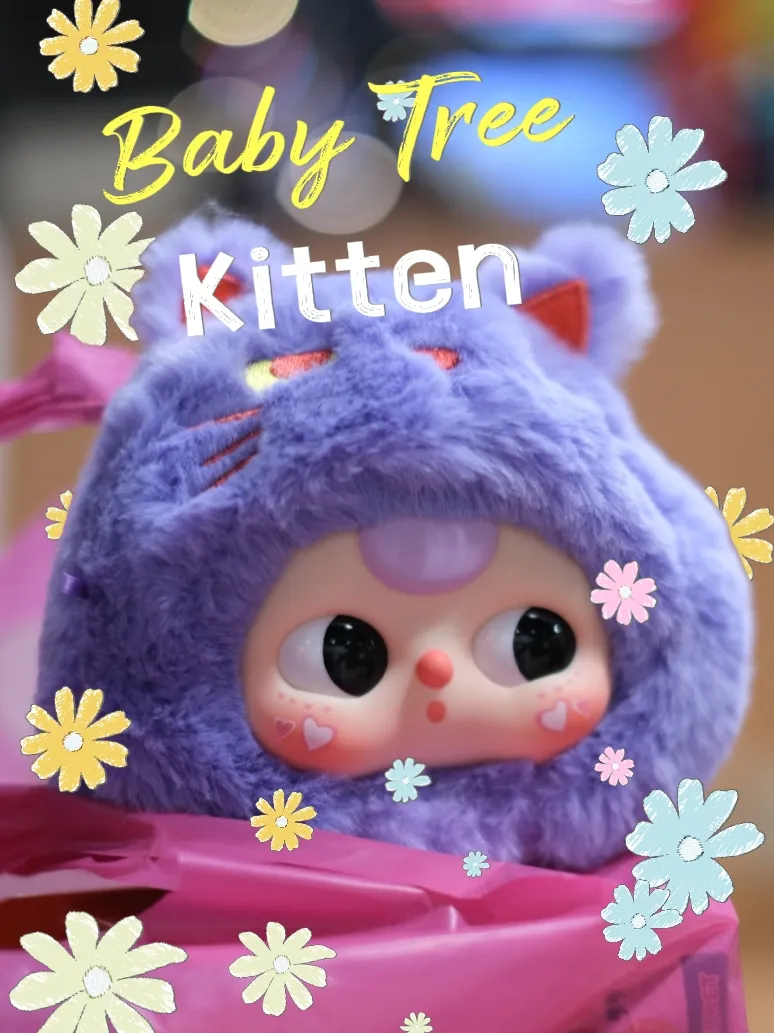 Baby Tree จุ่ม kitten แต่หน้าตาต่างจากเพื่อนนะ? | แกลเลอรีที่โพสต์โดย ...