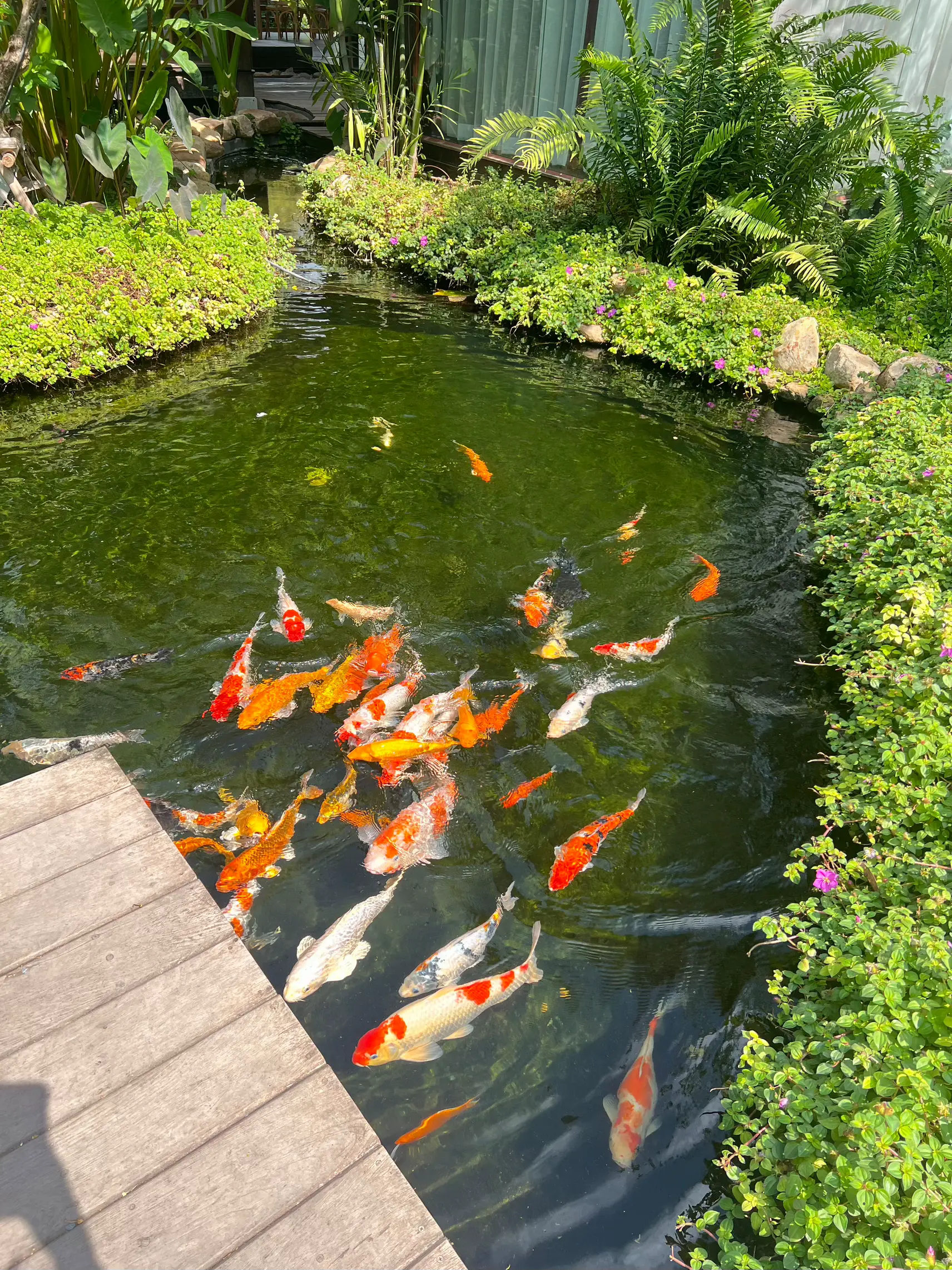 มนตราคาเฟ่ by ไร่วังบอน นครนายก | แกลเลอรีที่โพสต์โดย Ardy ️ | Lemon8