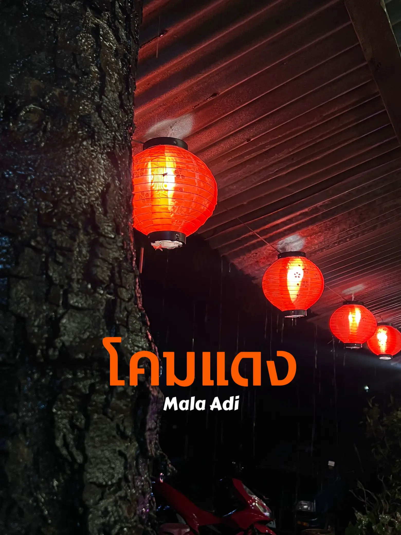 ร้าน โคมแดง อุดร | แกลเลอรีที่โพสต์โดย Khomdang udon | Lemon8