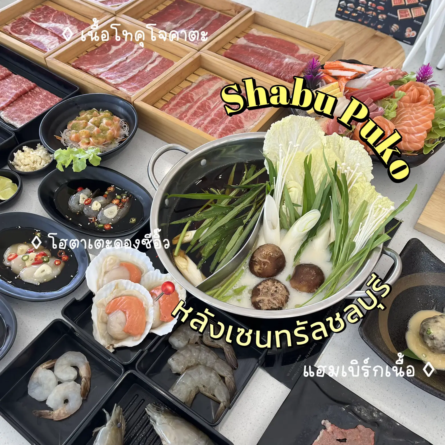 Shabu Puko ชาบู&ซาชิมิ มาที่เดียวครบ จบ | แกลเลอรีที่โพสต์โดย Nangfah💖 ...