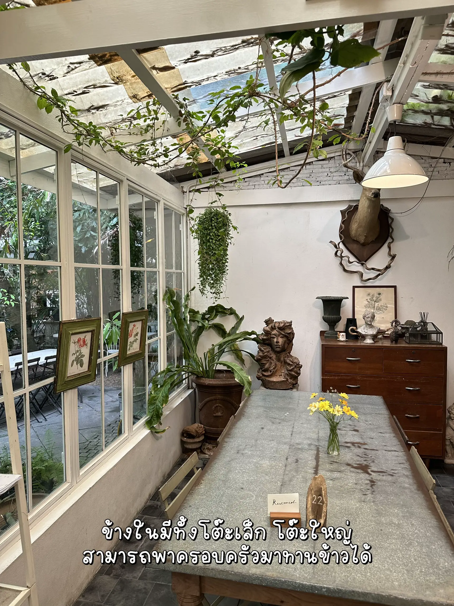 Little Tree Garden ย่านสามพราน นครปฐม🪴 | แกลเลอรีที่โพสต์โดย Kunview | Lemon8