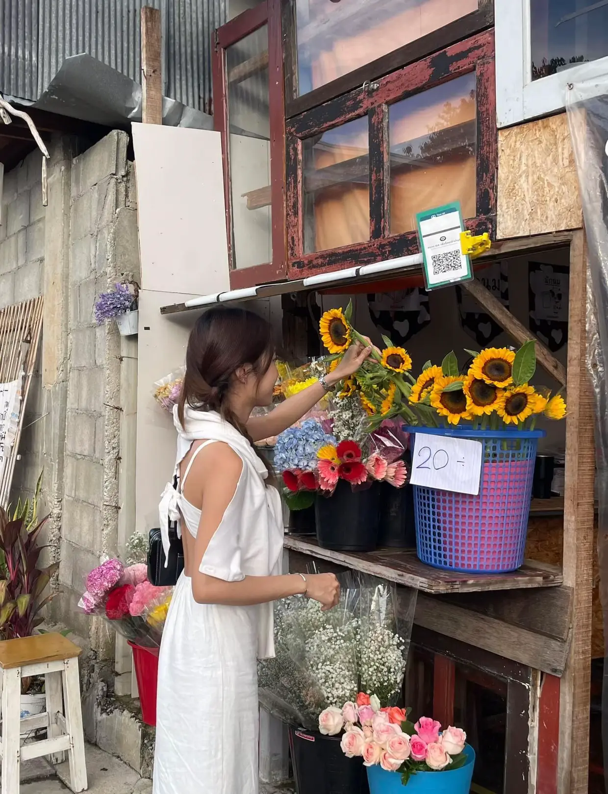 คลองแม่ข่า หรือหมู่บ้านแมวเนี่ย 🐈🫶🏻 | แกลเลอรีที่โพสต์โดย lbzero | Lemon8