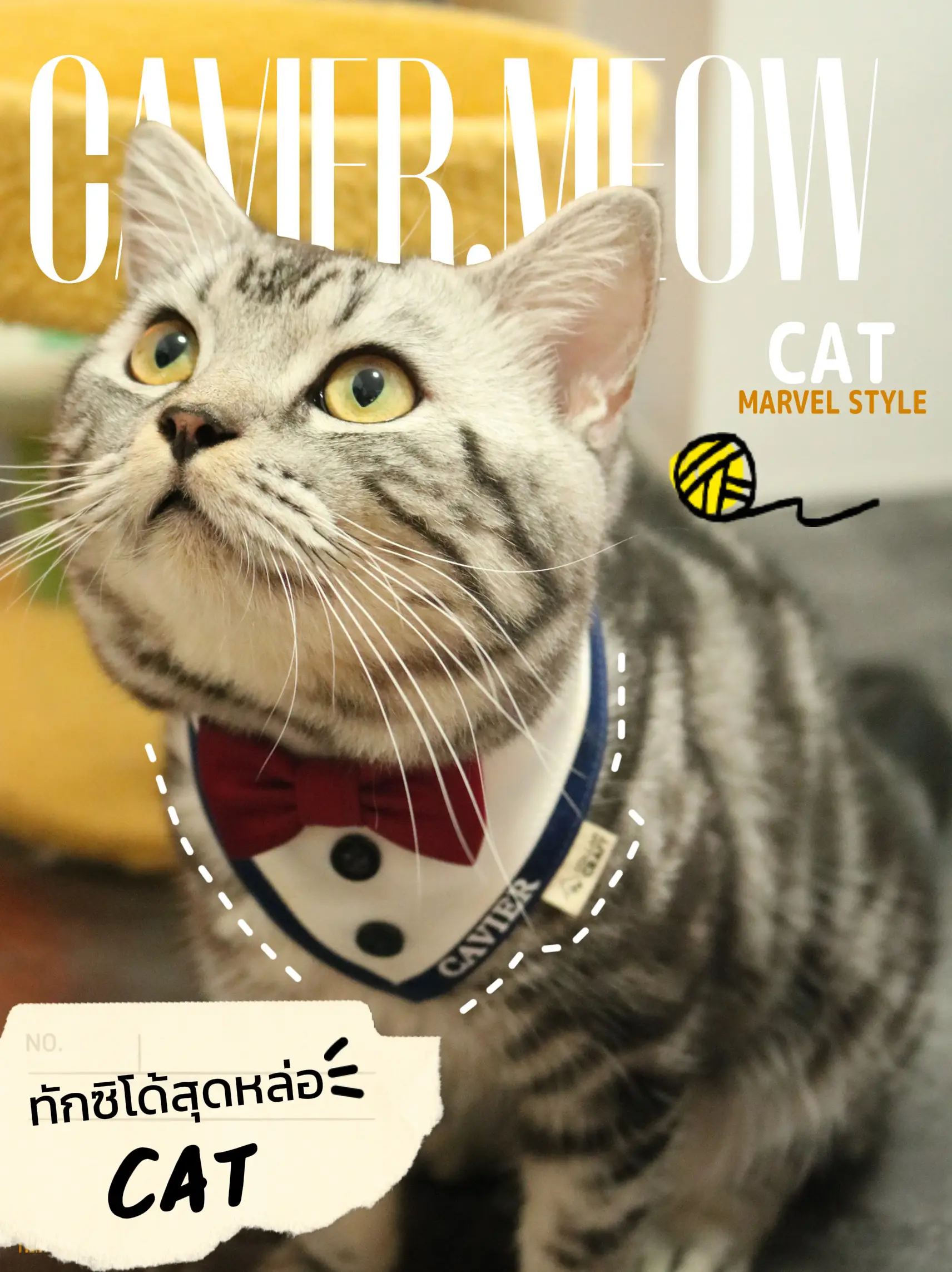 ทักซิโด้ ( Tuxedo ) น้องแมวสุดหล่อ 🐈 | แกลเลอรีที่โพสต์โดย Chamai.porn | Lemon8