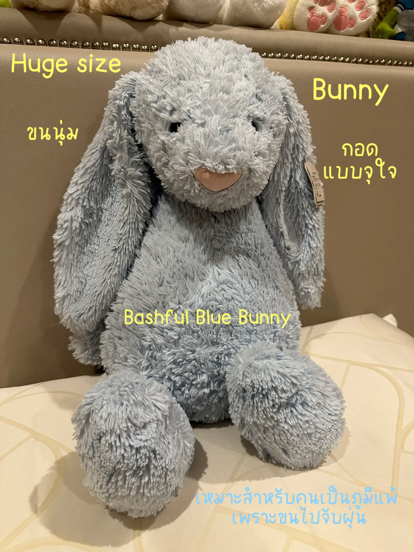 Jellycat bunny collection - การค้นหาใน Lemon8