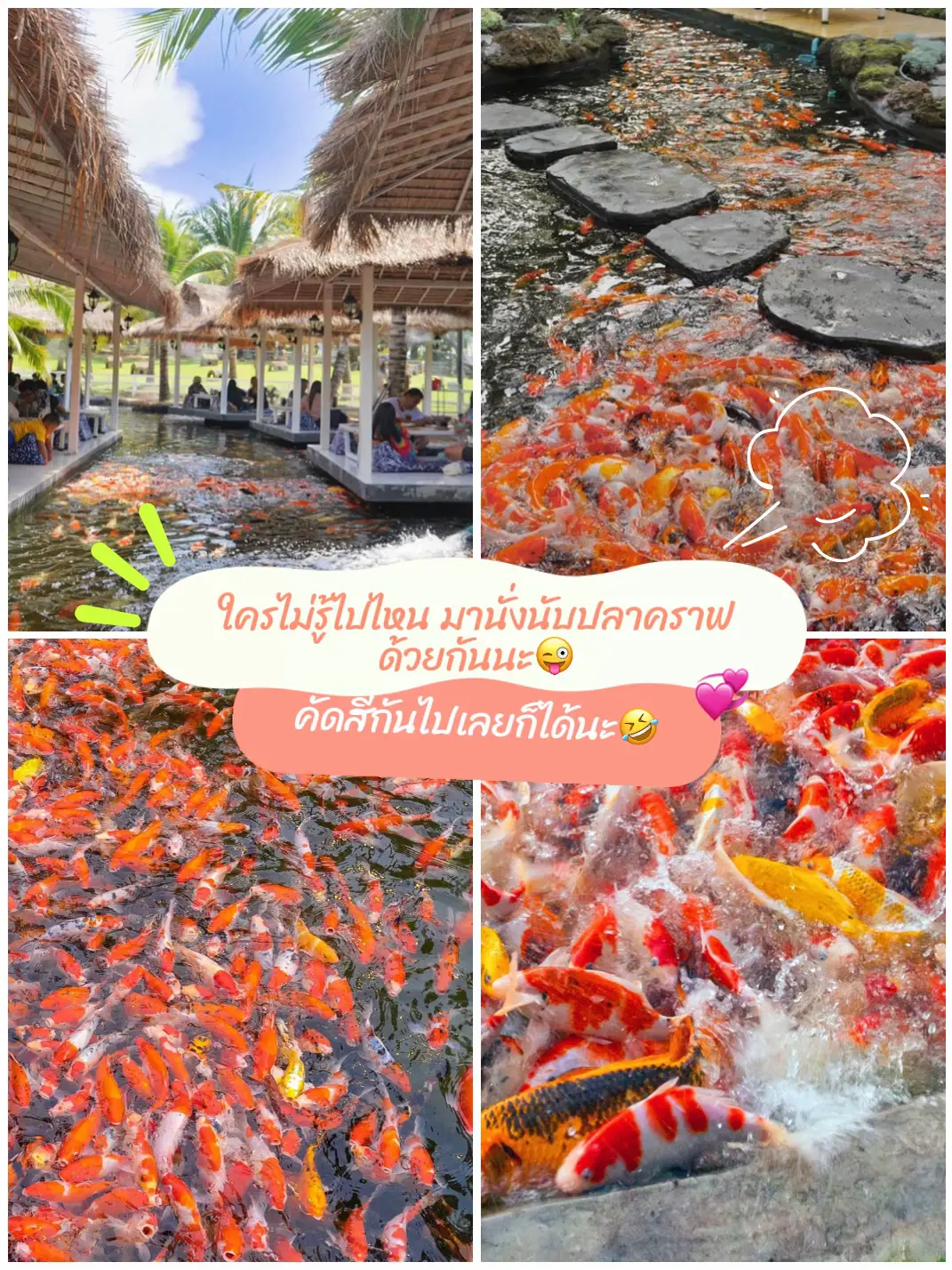 ป้าบุญคาเฟ่ สาขาบางแสน🥰 | วิดีโอที่เผยแพร่โดย จรจัด | Lemon8