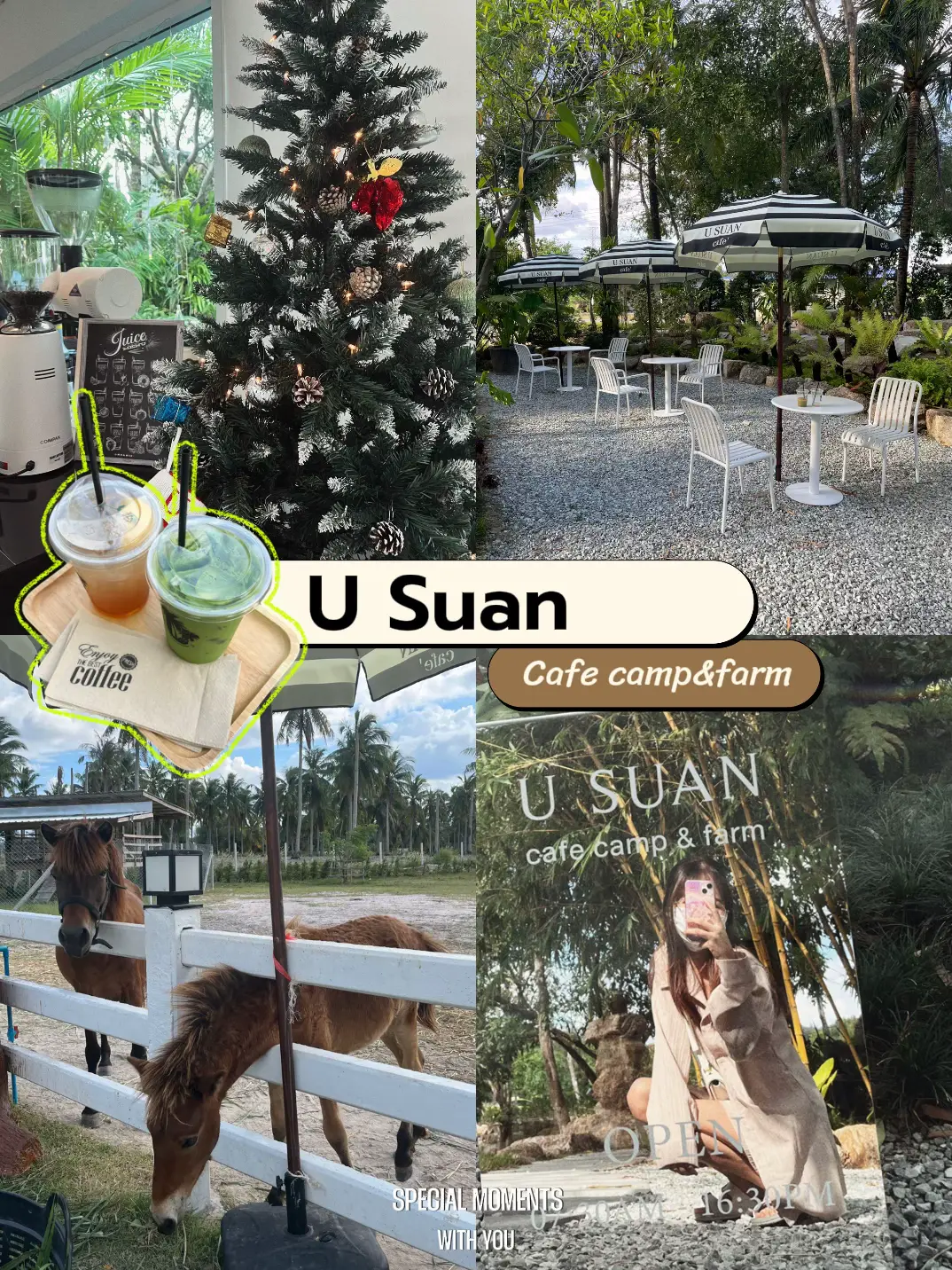 U Suan cafe camp&farm 🌳⛰️ | แกลเลอรีที่โพสต์โดย FAHPIM 🐰 | Lemon8