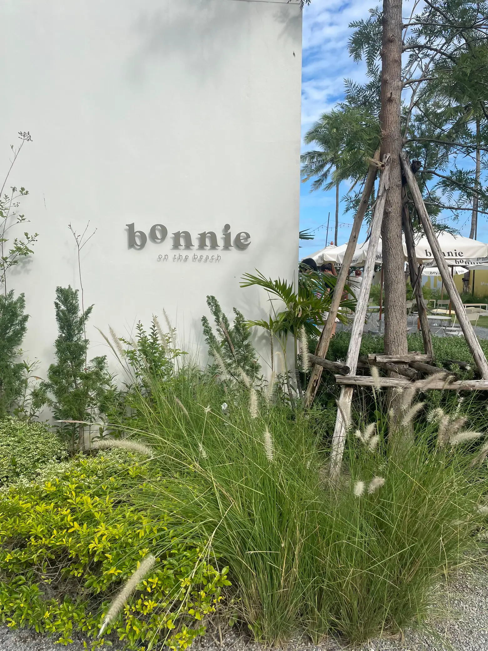 bonnie on the beach 🌴🍰 | แกลเลอรีที่โพสต์โดย Baiteay 💕🍃 | Lemon8