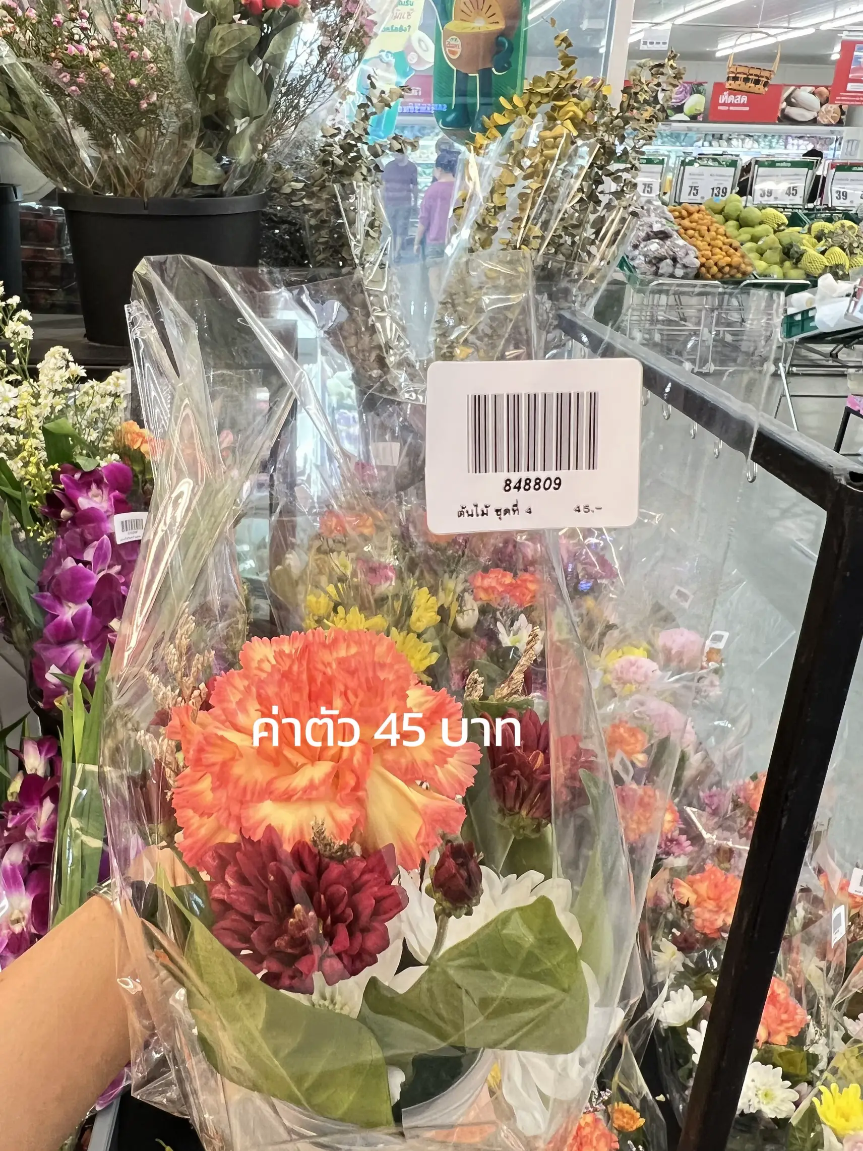 พิกัดดอกไม้ ไหว้พระในแม็คโคร | แกลเลอรีที่โพสต์โดย Noona_aaa | Lemon8