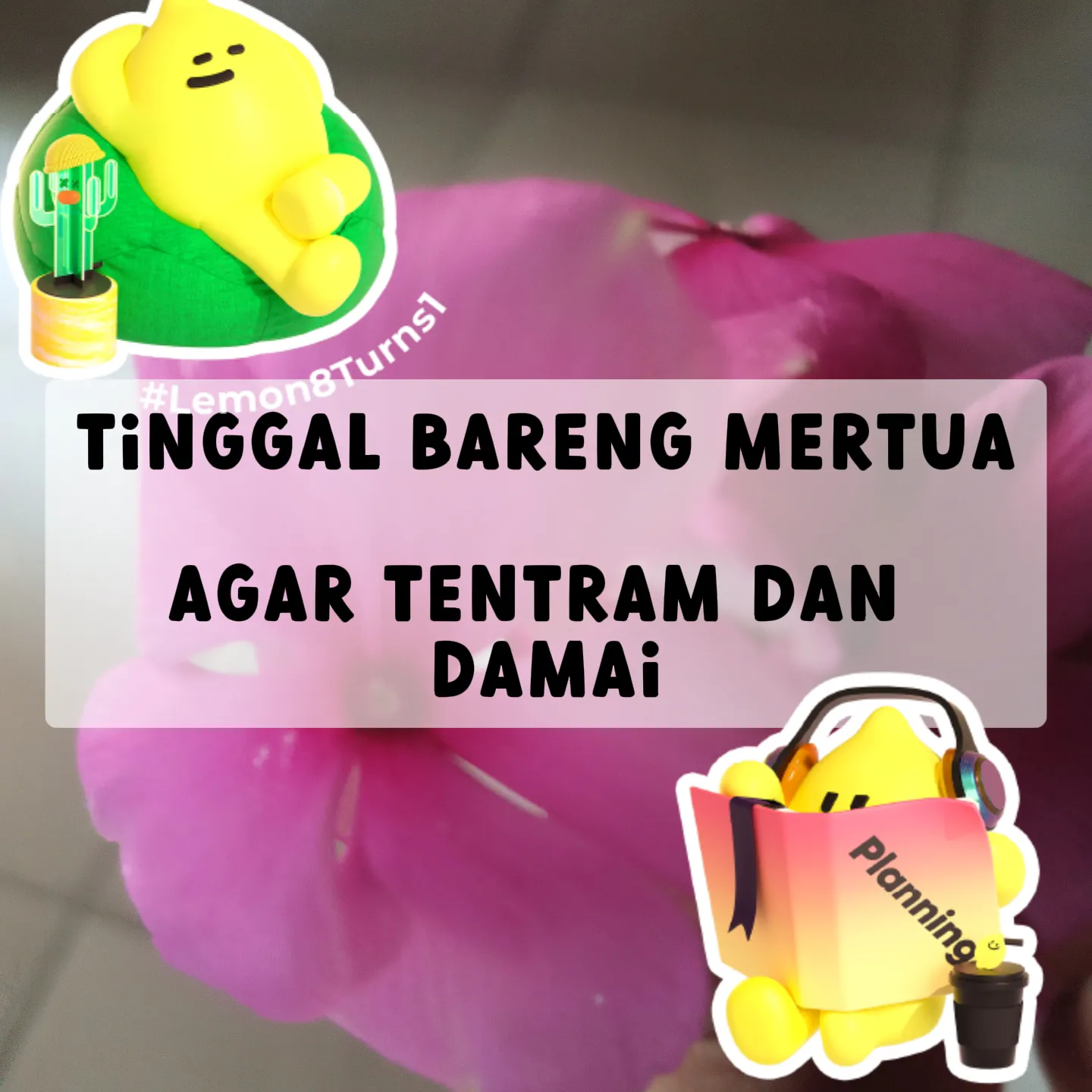 Tinggal bareng mertua agar tentram dan damai | Galeri diposting oleh ...