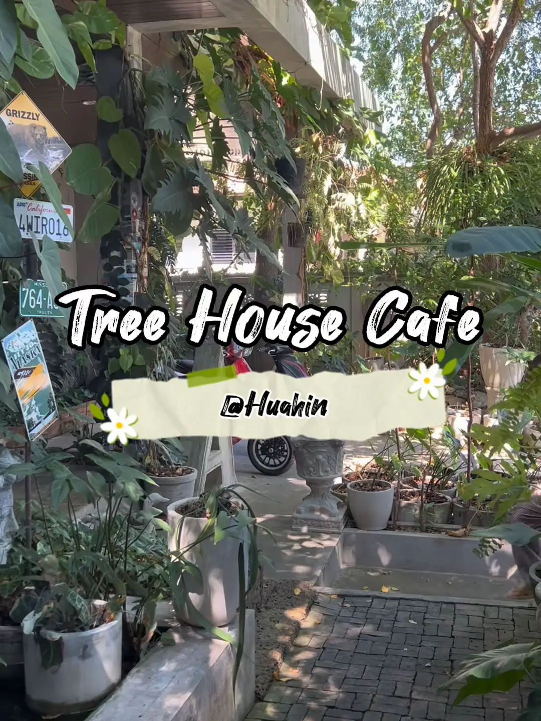 คาเฟ่หัวหิน ธรรมชาติมาก TREE HOUSE CAFE🏡 | วิดีโอที่เผยแพร่โดย Premier ...