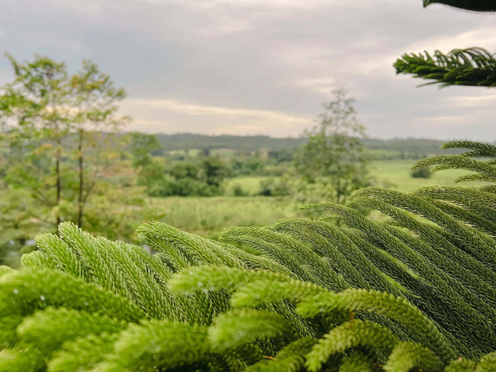 Route 3060 | แกลเลอรีที่โพสต์โดย เที่ยว กัน ป่ะ | Lemon8