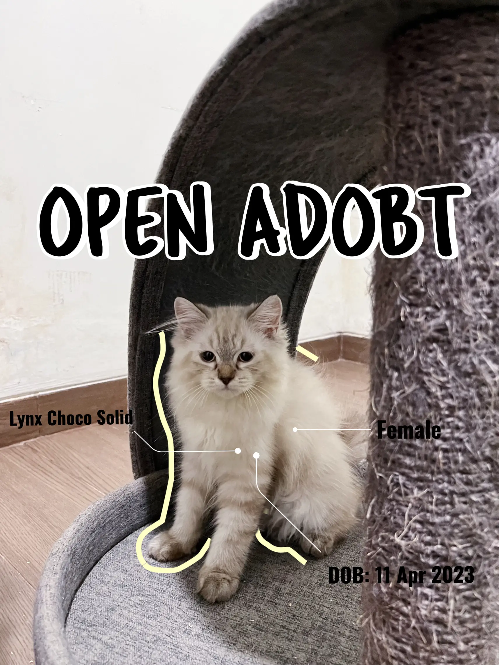 dylanharis memposting kontribu | Galeri diposting oleh Dylan Haris | Lemon8