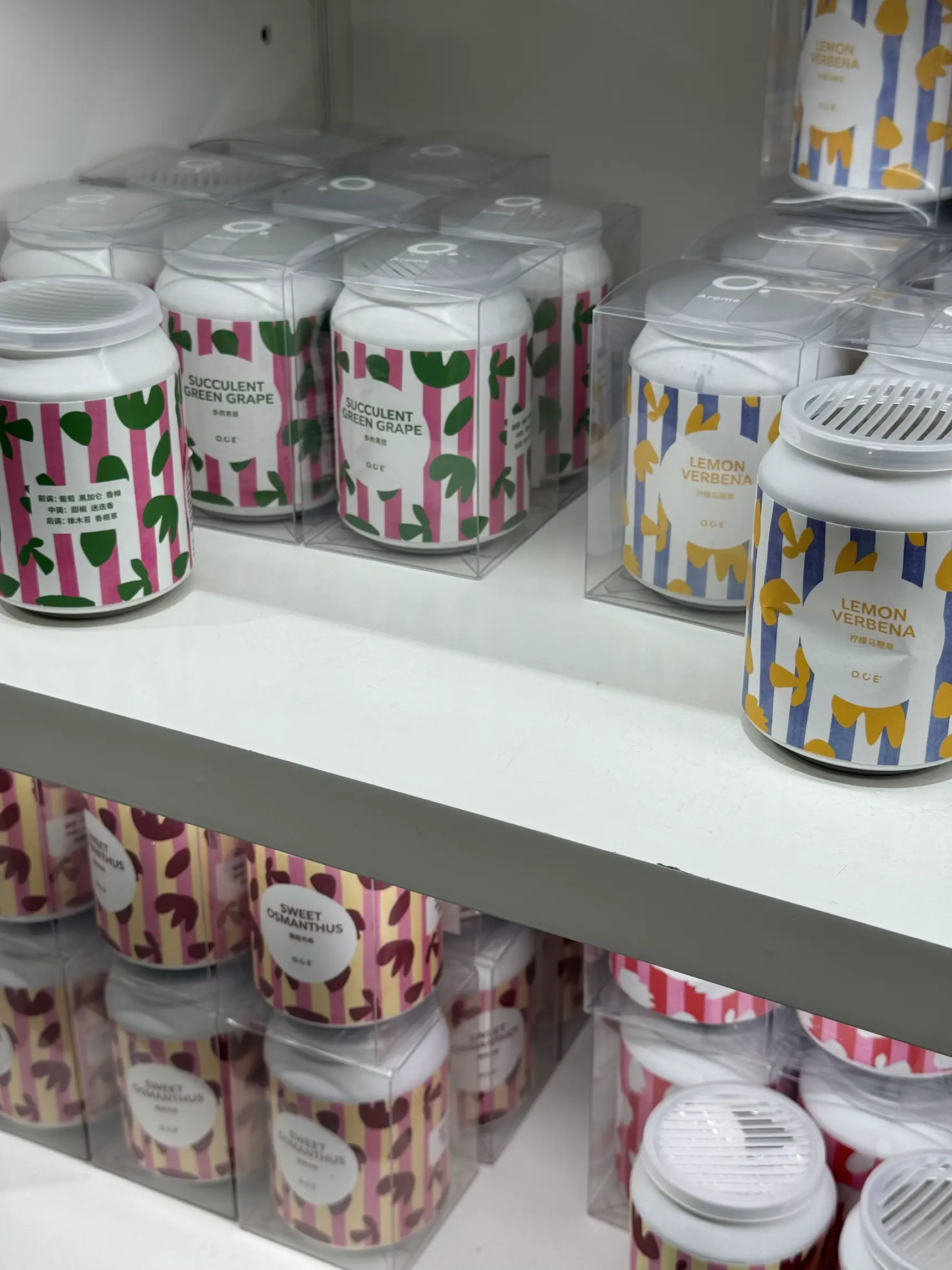 พิกัดร้านกระติกน้ำสุดฮิต CHAKO LAB | แกลเลอรีที่โพสต์โดย CNKPAC | Lemon8