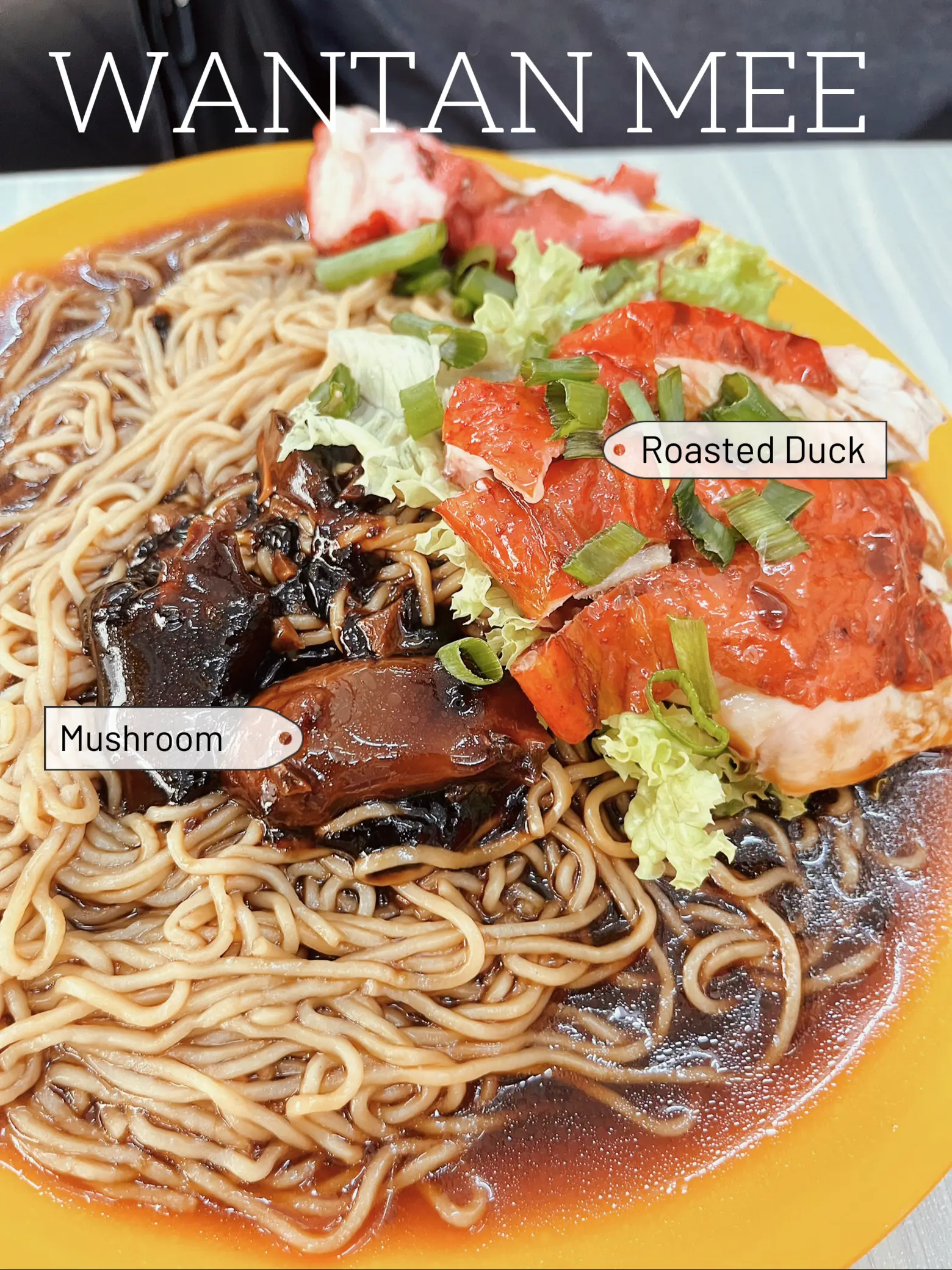 LUNCH RECOMMENDED AT IPOH | Galeri disiarkan oleh WithEmma’s ᬊ | Lemon8