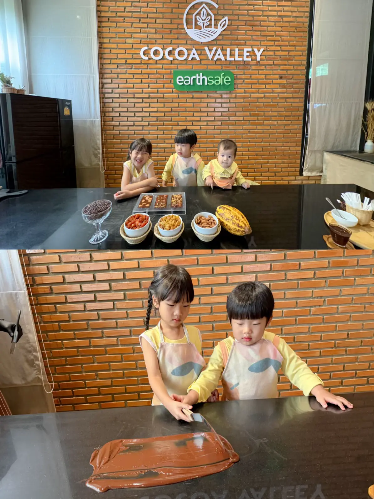 เข้าสวนเก็บโกโก้ 🍫 | แกลเลอรีที่โพสต์โดย letsgomame | Lemon8