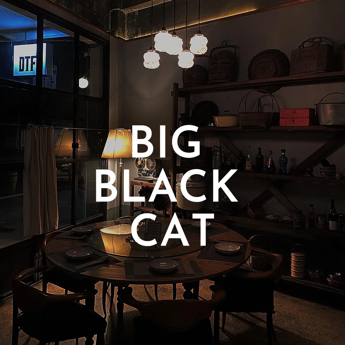 BIG BLACK CAT อิซากายะร้านลับ บนดาดฟ้า ! | แกลเลอรีที่โพสต์โดย 🥨 | Lemon8