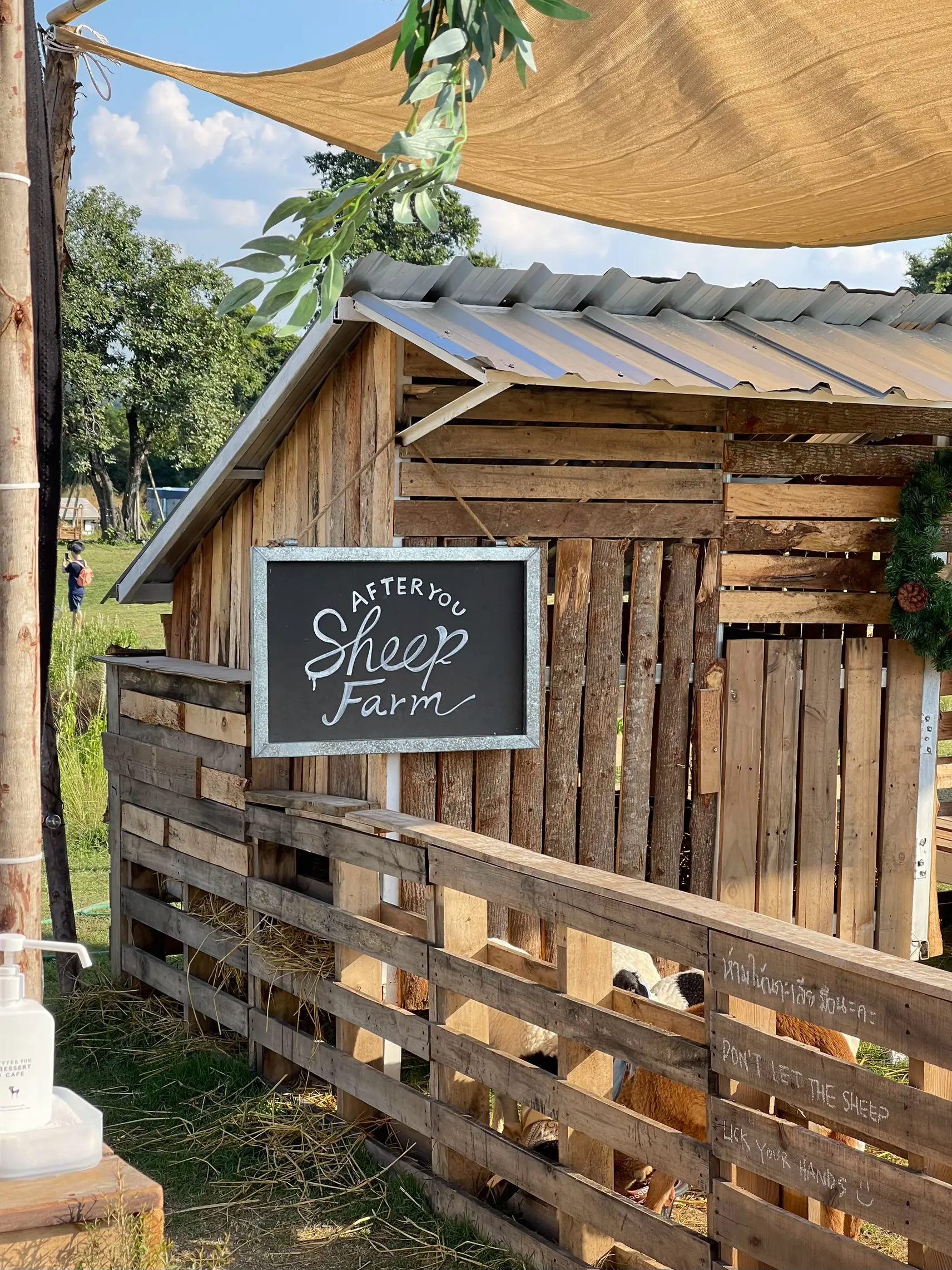 After You @ Midwinter Khaoyai 🌽 | แกลเลอรีที่โพสต์โดย Phatcha 🐱 | Lemon8