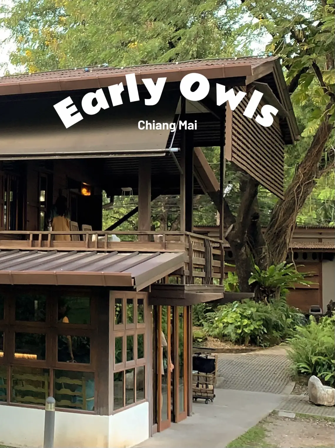 Early Owls เออร์ลี่ อาวส์ | Chiang Mai | แกลเลอรีที่โพสต์โดย 🌷Aon ...