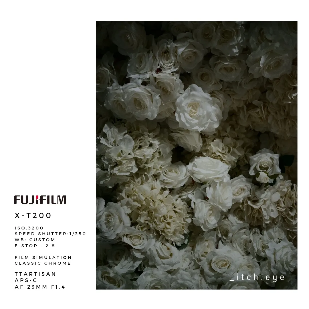 ออกไปถ่ายรูปกัน Fujifilm X-T200 | แกลเลอรีที่โพสต์โดย lemon_pitch | Lemon8