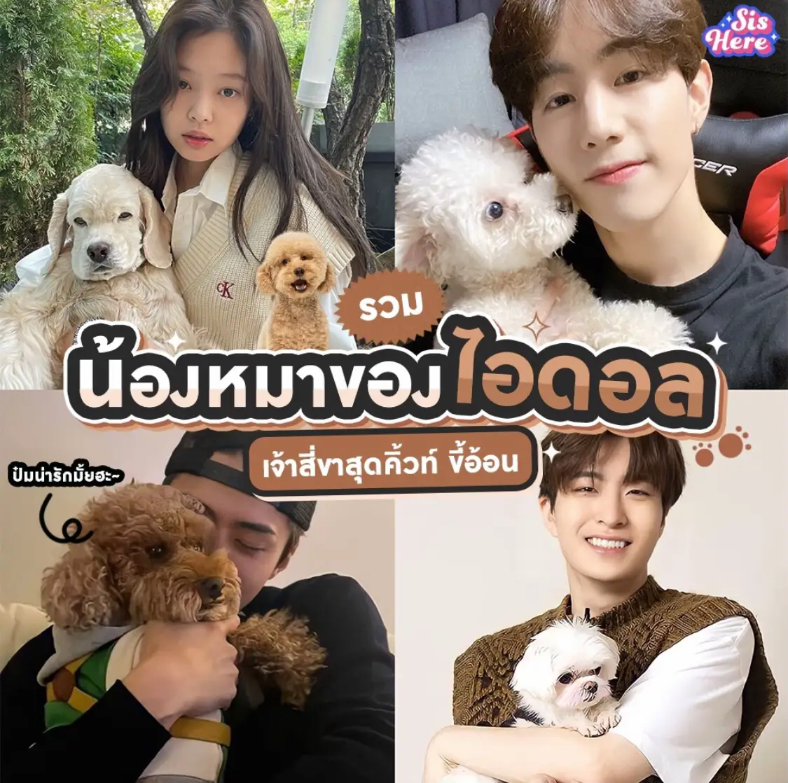 Take a cute look at "the dog of the idols."🐕 | Gallery posted by Sale Here | Lemon8