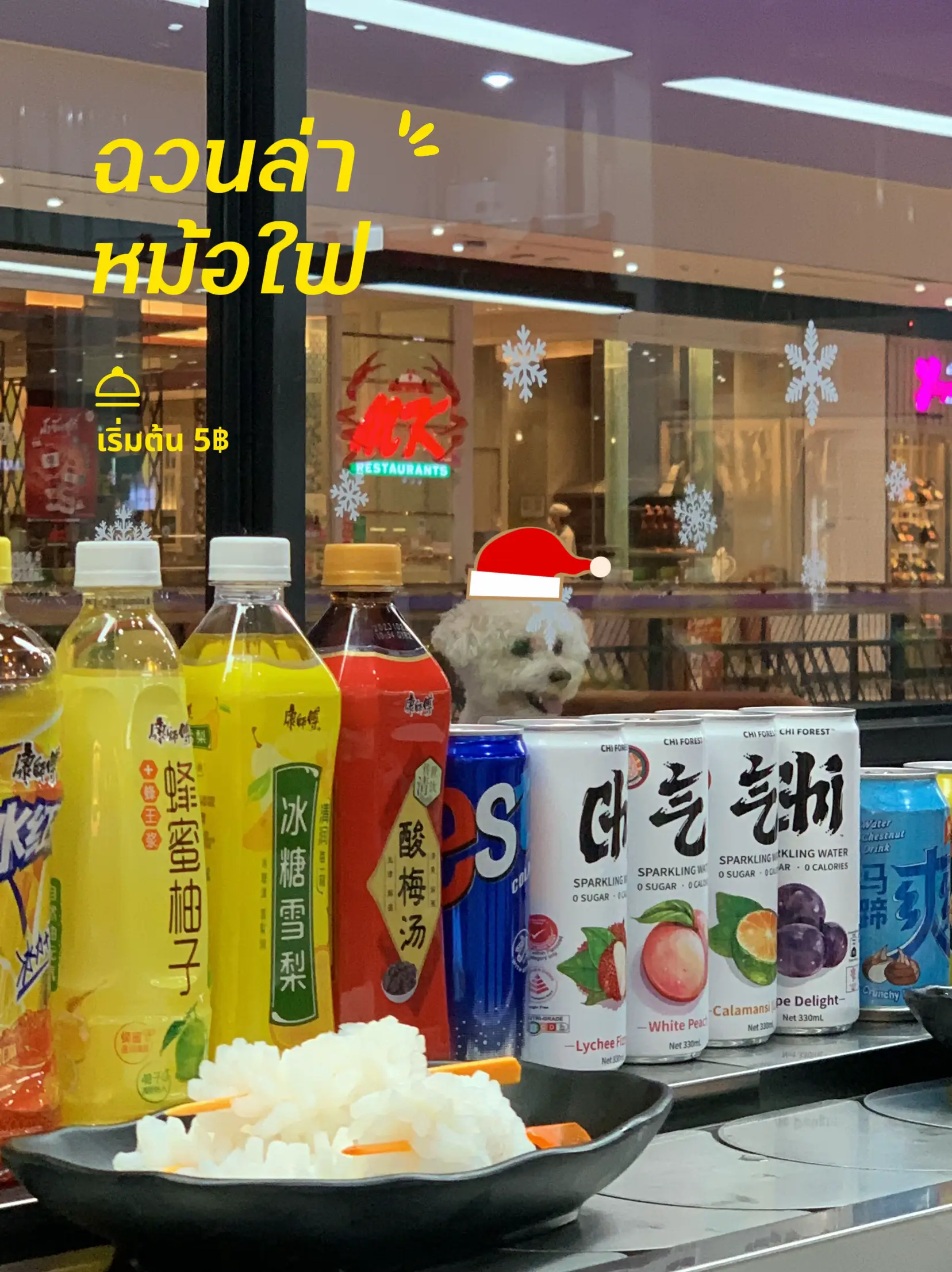 ฉวนล่าหม้อไฟ🍤🥘เซ็นทรัลโคราช | แกลเลอรีที่โพสต์โดย Maylisa | Lemon8