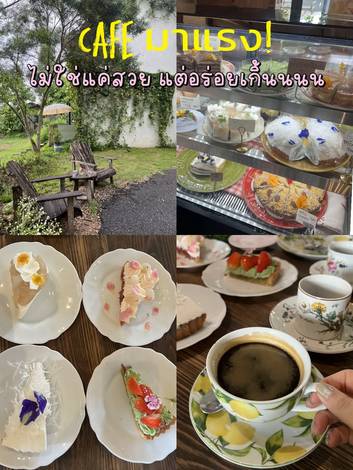 Cafe มาแรง | ไม่ใช่แค่สวย แต่อร่อยเกิ้นนนน 🍰☕️ | แกลเลอรีที่โพสต์โดย ... Cafe มาแรง | ไม่ใช่แค่สวย แต่อร่อยเกิ้นนนน 🍰☕️ | แกลเลอรีที่โพสต์โดย ...