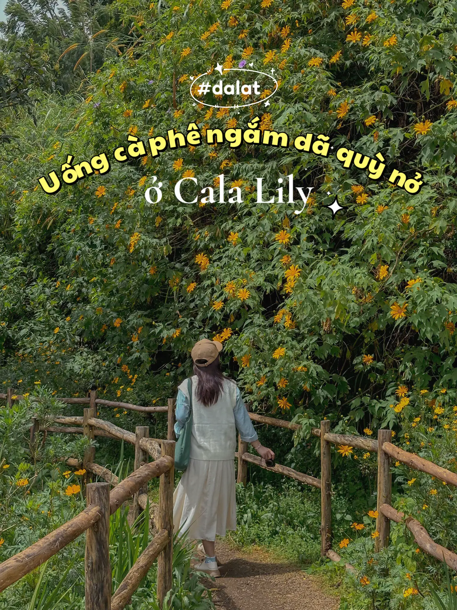 𝐔𝐨̂́𝐧𝐠 𝐜𝐚𝐟𝐞 𝐧𝐠𝐚̆́𝐦 𝐝𝐚̃ 𝐪𝐮𝐲̀ 𝐧𝐨̛̉ 𝐨̛̉ 𝐂𝐚𝐥𝐚 𝐋𝐢𝐥𝐲! | Bộ sưu tập do Trà ơii đăng | Lemon8