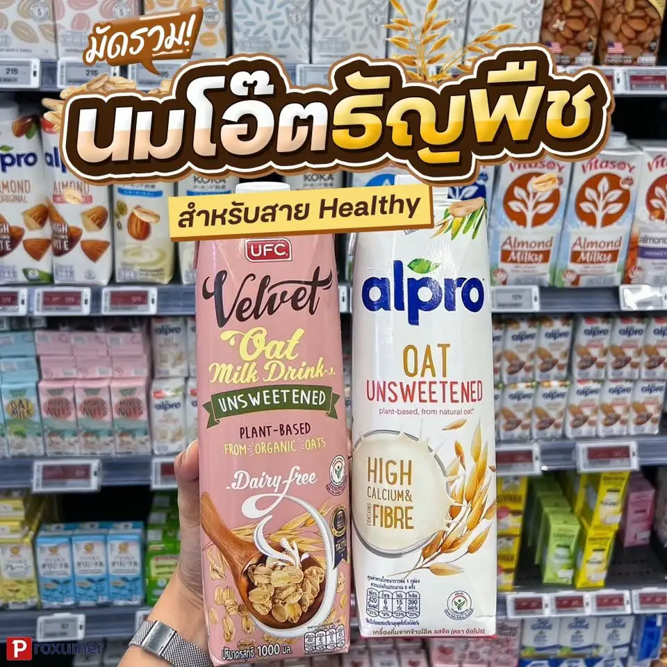 🥛 มัดรวม! นมโอ๊ตธัญพืชสำหรับคนรักสุขภาพ | แกลเลอรีที่โพสต์โดย Proxumer | Lemon8