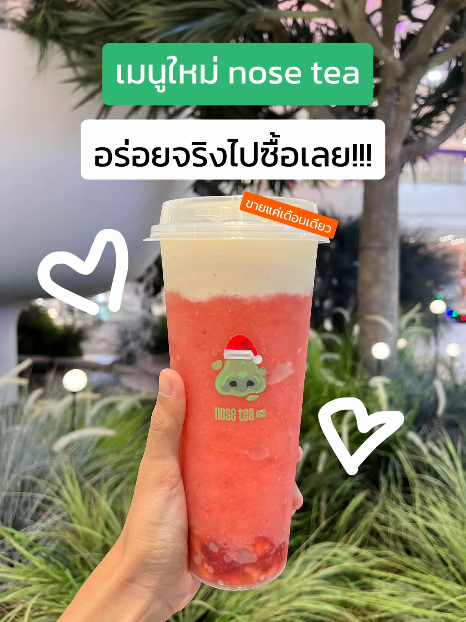 Nose tea เมนูไหนลองแล้วอร่อย คุ้มค่าที่สุด 🤩 | แกลเลอรีที่โพสต์โดย ...
