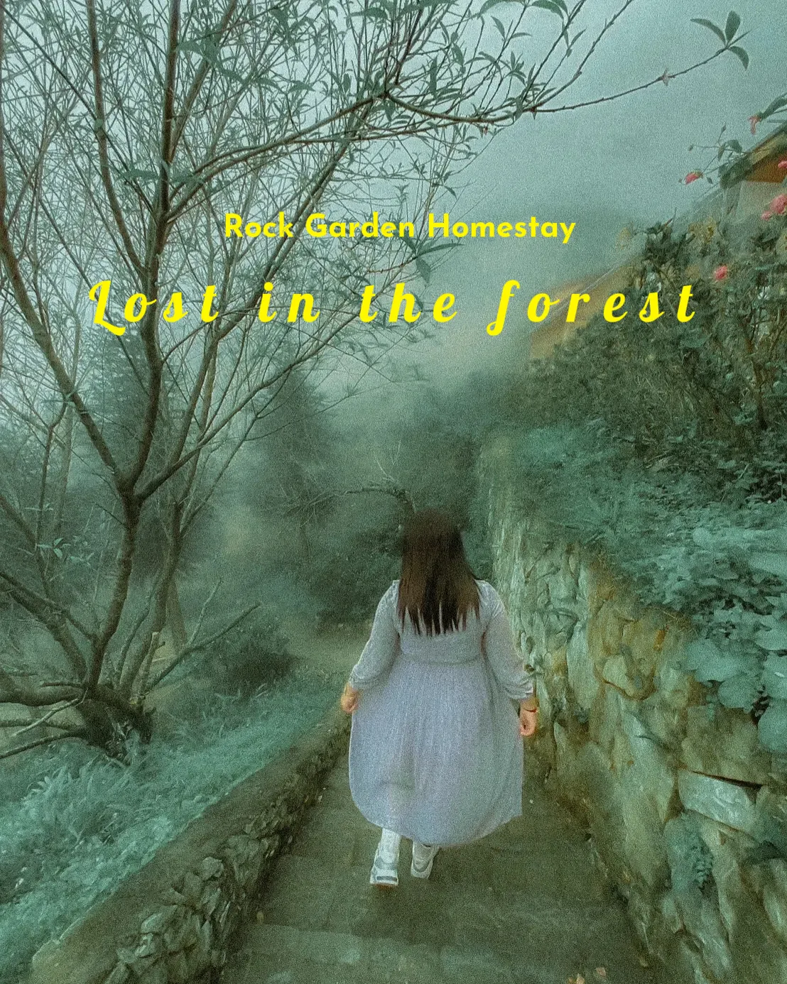 Rock Garden Homestay โทนฟิล์ม - แอพ Lightroom | แกลเลอรีที่โพสต์โดย ...