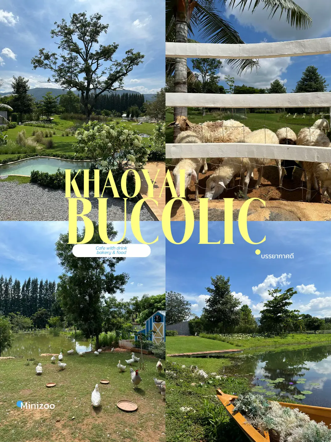 🍧🍡🩷 Bucolic Khaoyai คาเฟ่ที่มี mini zoo ⛺️🌈🩵 | แกลเลอรีที่โพสต์โดย IDRA ...