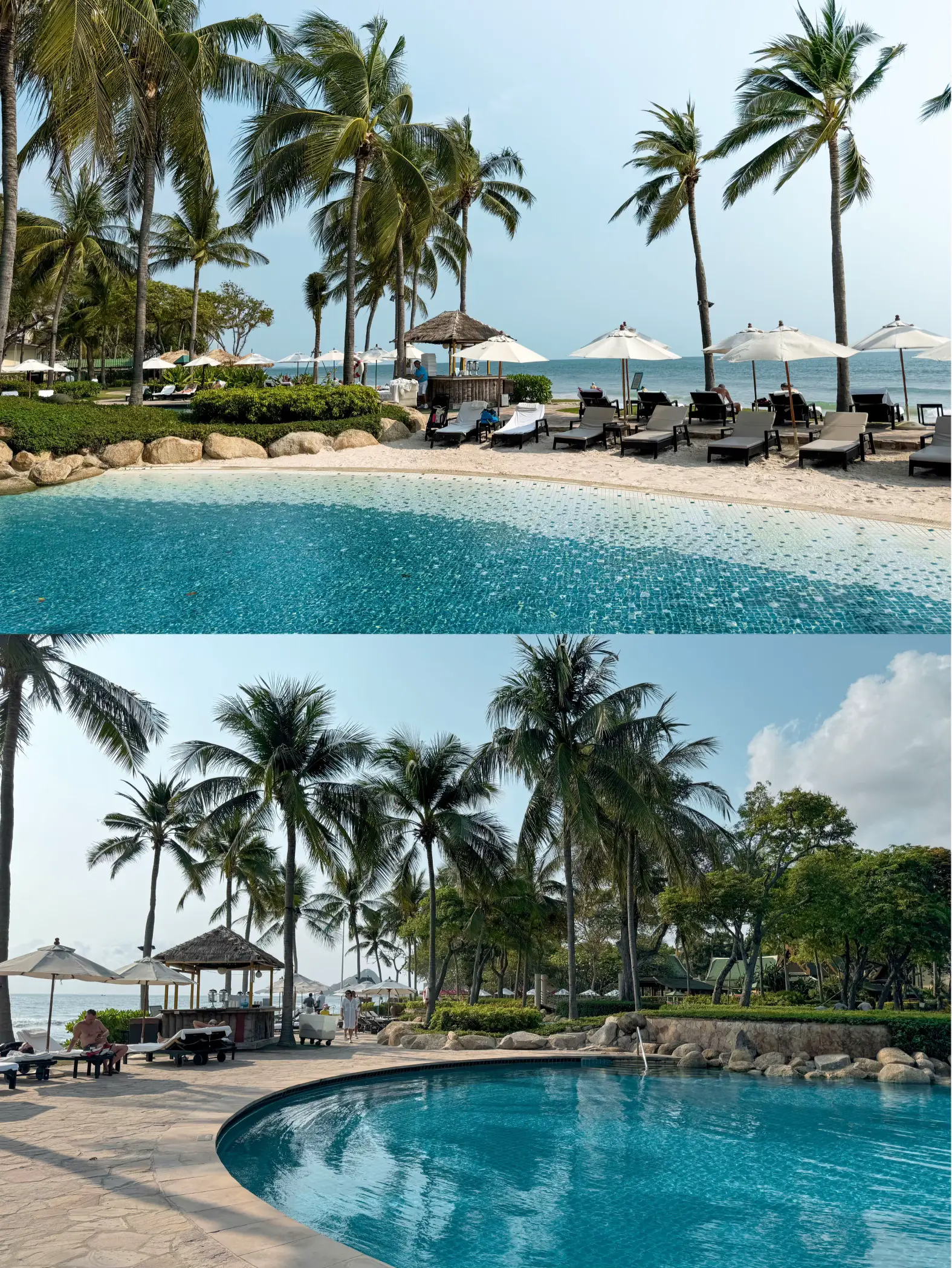 Hyatt Regency Hua Hin Luxury Hotel 5 Star Burr Tree in Hua Hin🥰 ...