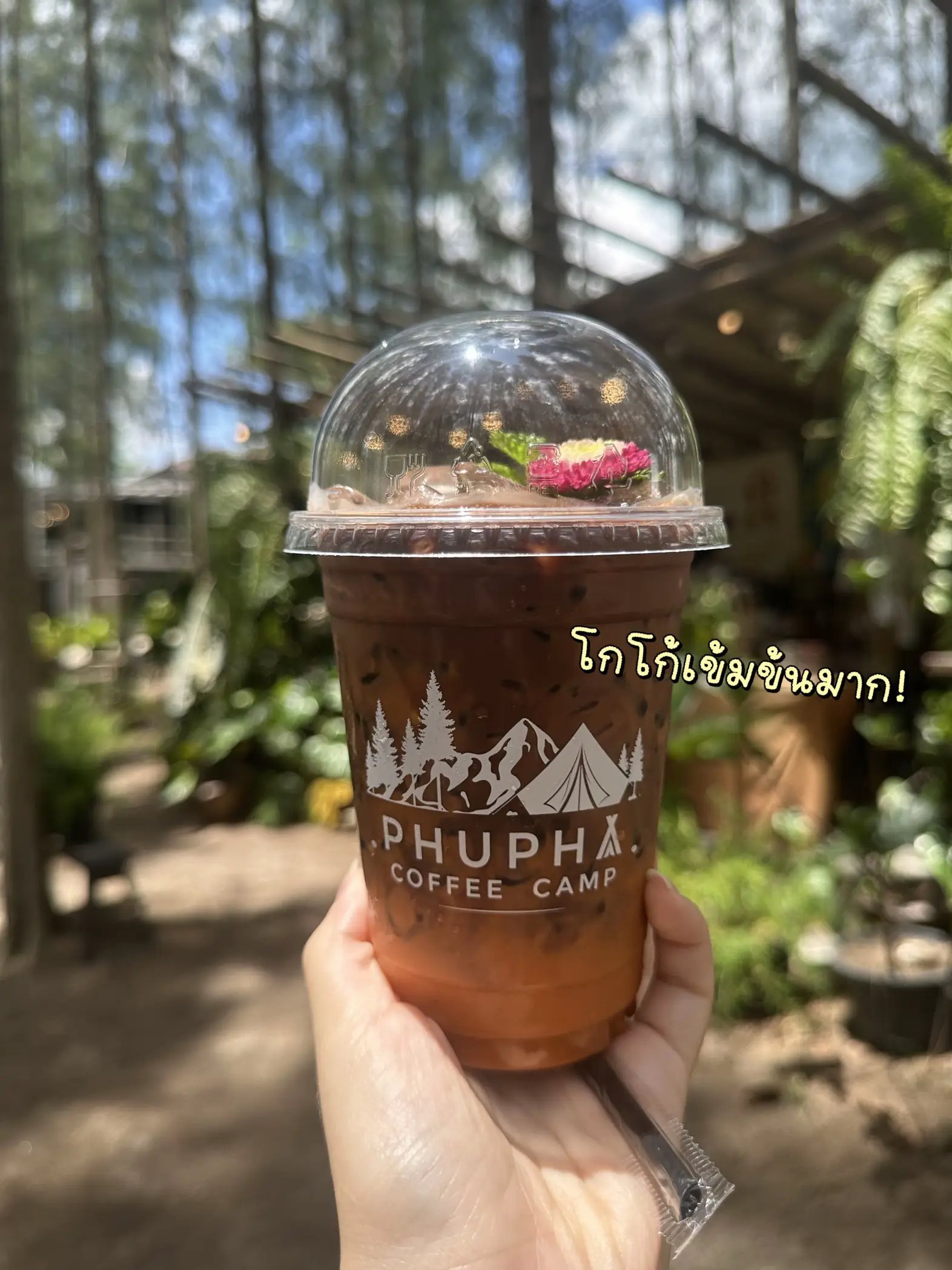 PHUPHA COFFEE CAMP @ ราชบุรี 🏕️ | แกลเลอรีที่โพสต์โดย bp | Lemon8