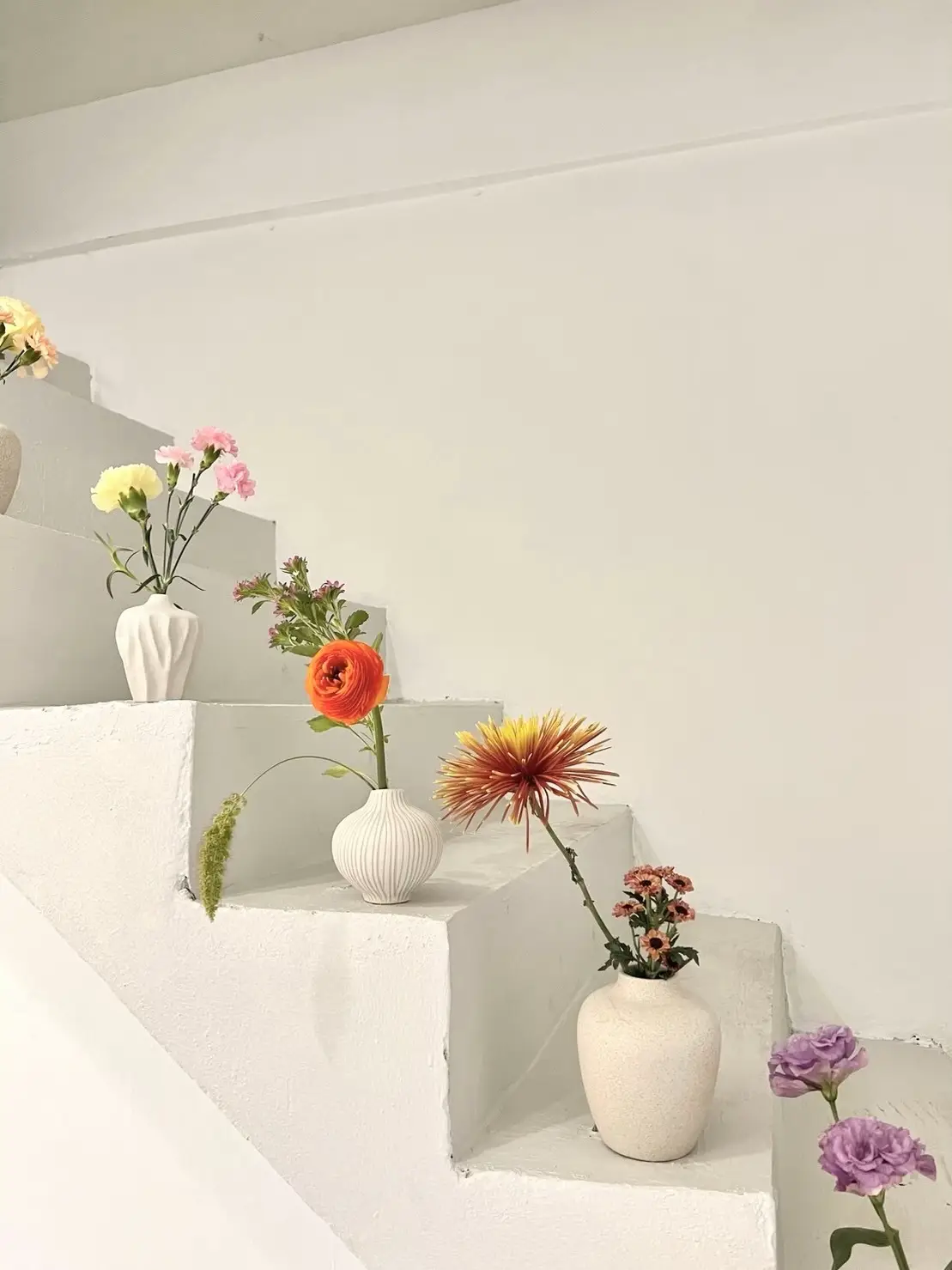 💐 THE DANCING FLOWER | แกลเลอรีที่โพสต์โดย justsmile | Lemon8