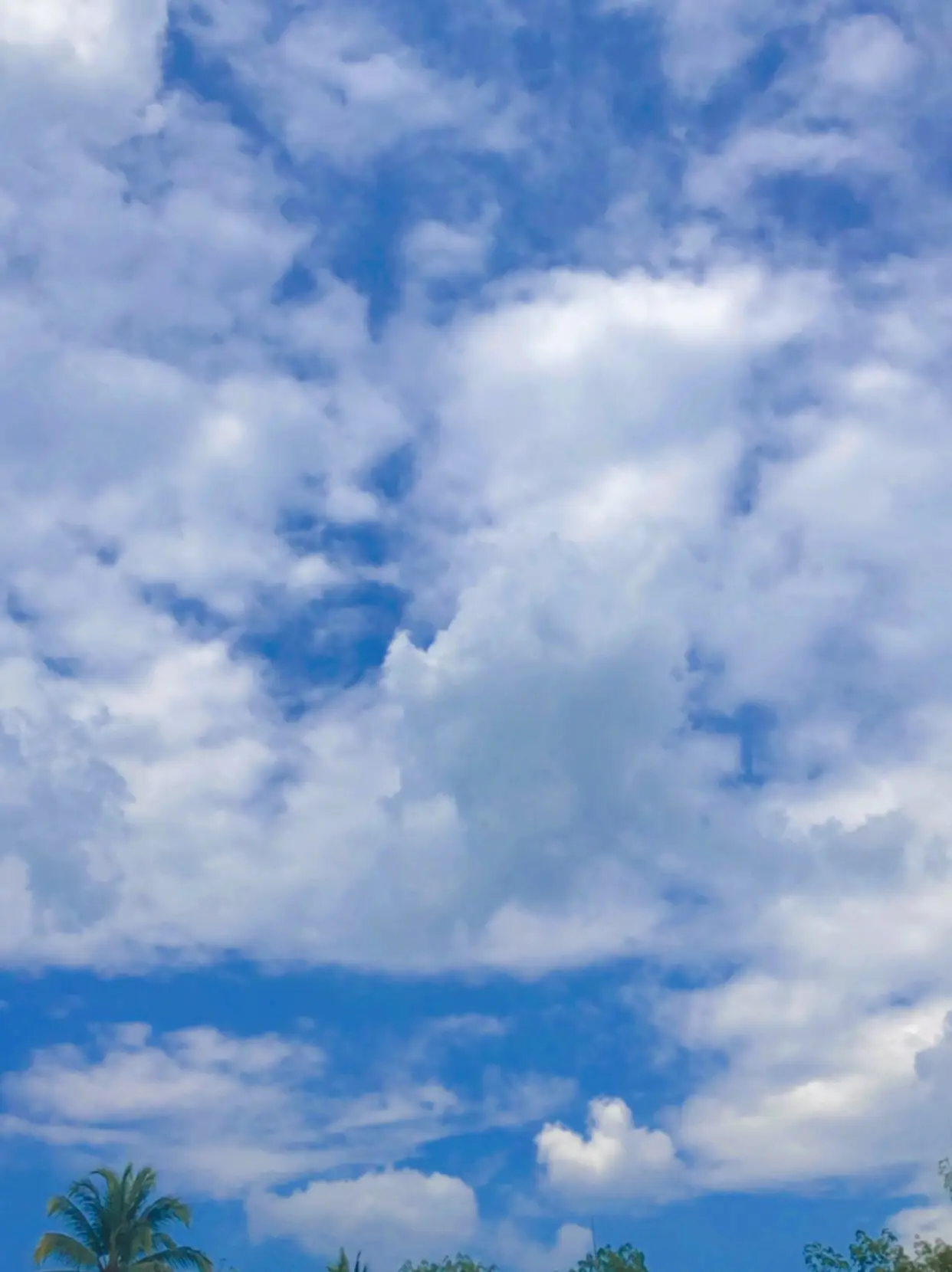 ท้องฟ้า การ์ตูน png - การค้นหาใน Lemon8