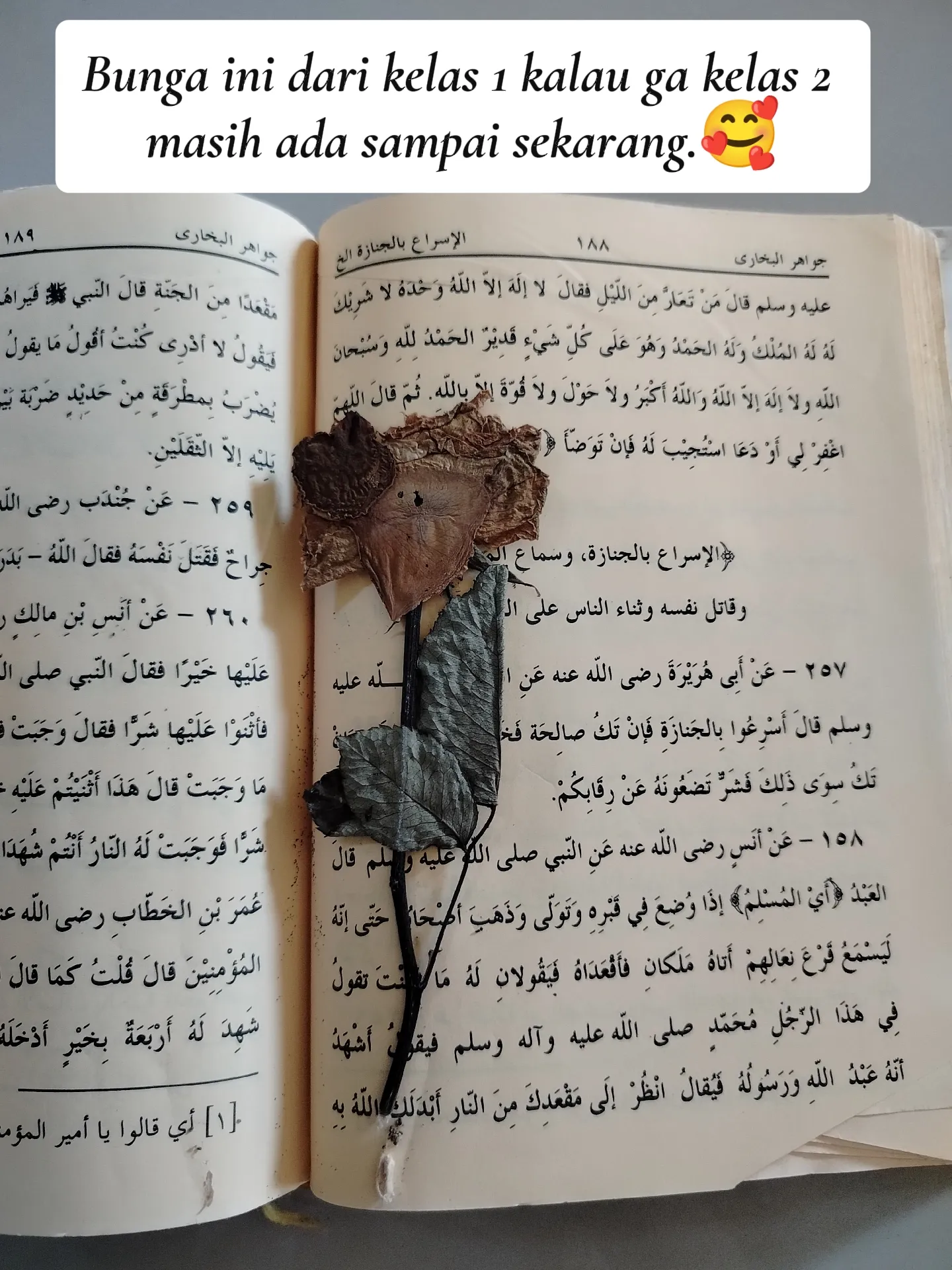 SMA Ku Surat-suratan Dikitab! KOK BISA?😱 | Galeri diposting oleh ...
